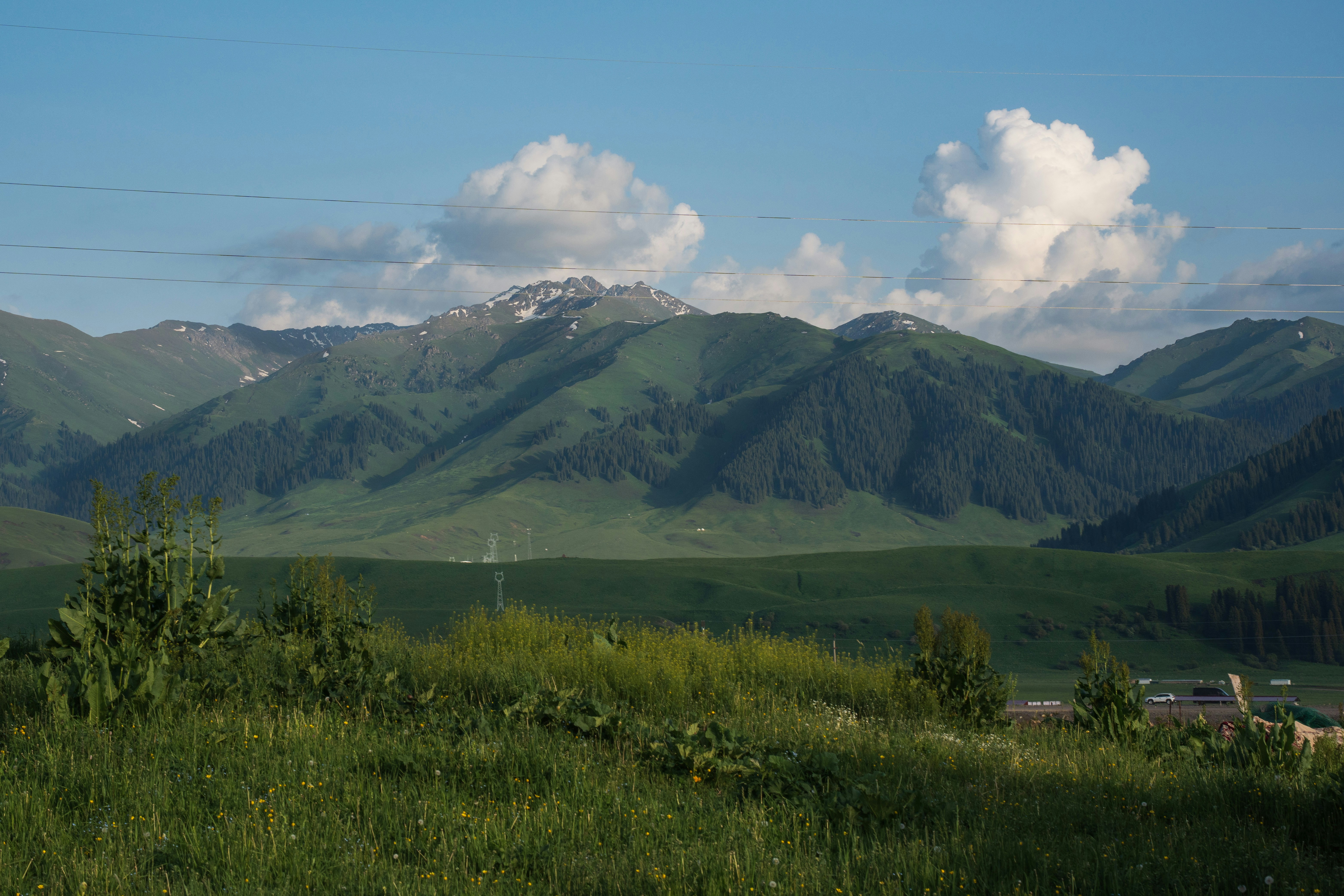 Verdant amphitheater: rolling hills and distant peaks under a bright sky