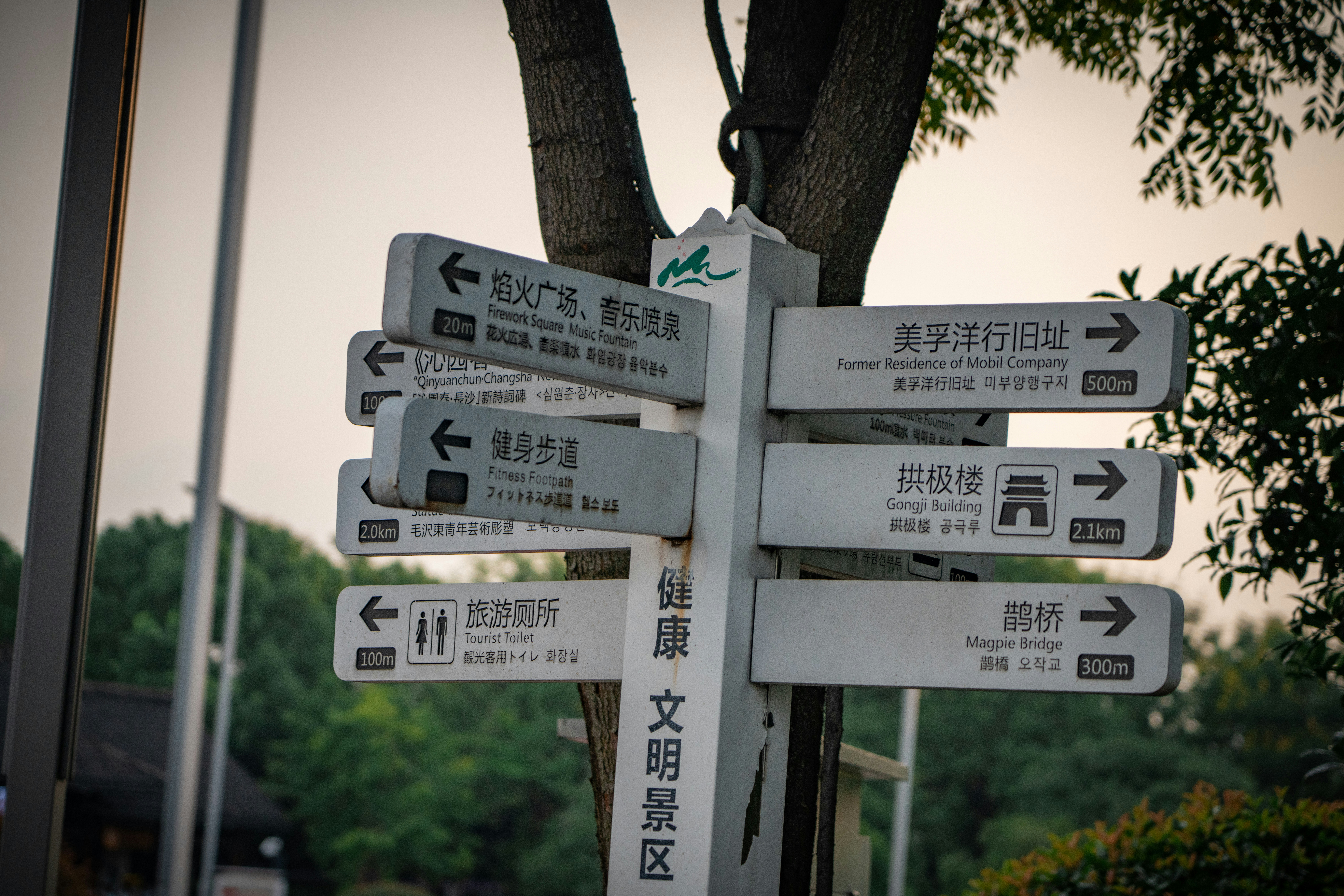 Signpost Symphony: A Crossroads of Paths in Quiet Park