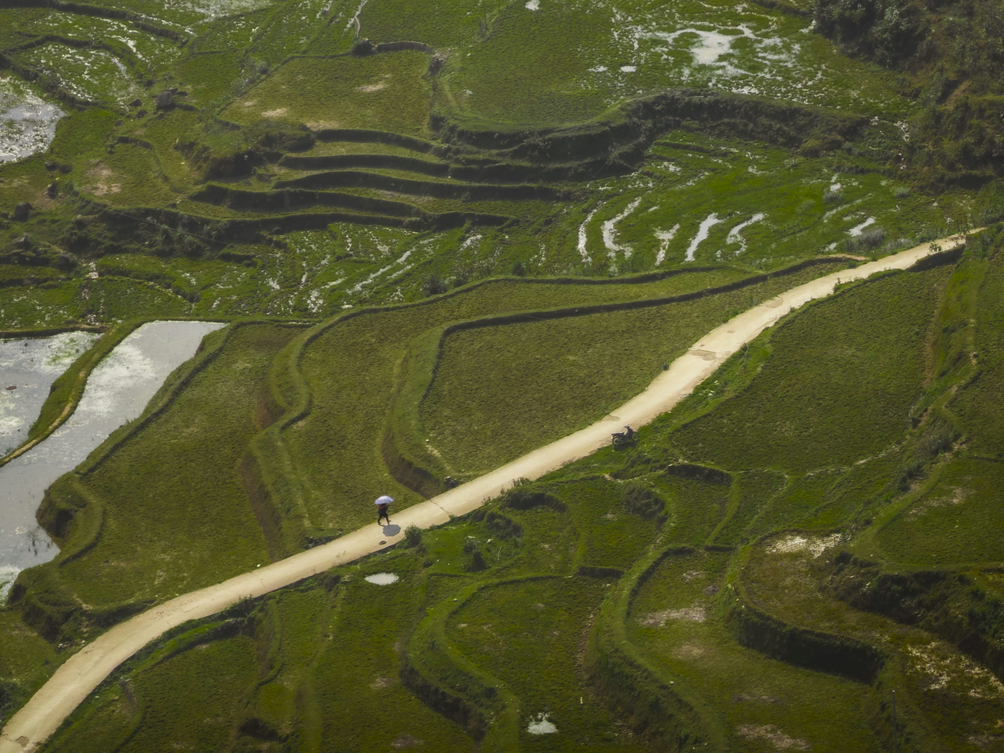 Terraced fields ripple across a valley with a pale road cutting through; a solitary figure with an umbrella traverses the path, highlighting scale and landscape geometry.