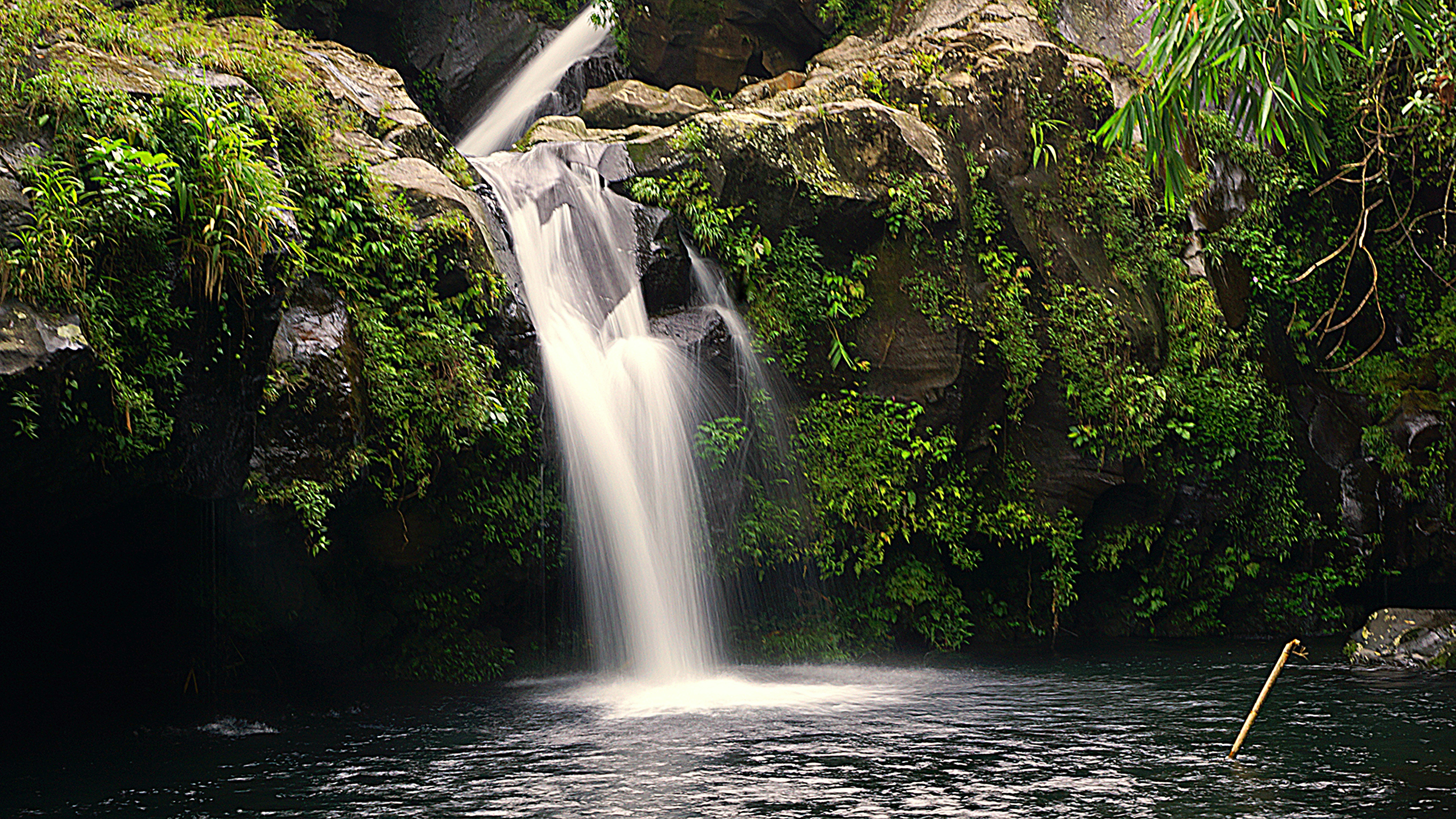 Whispering Cascade into a Moonlit Pool