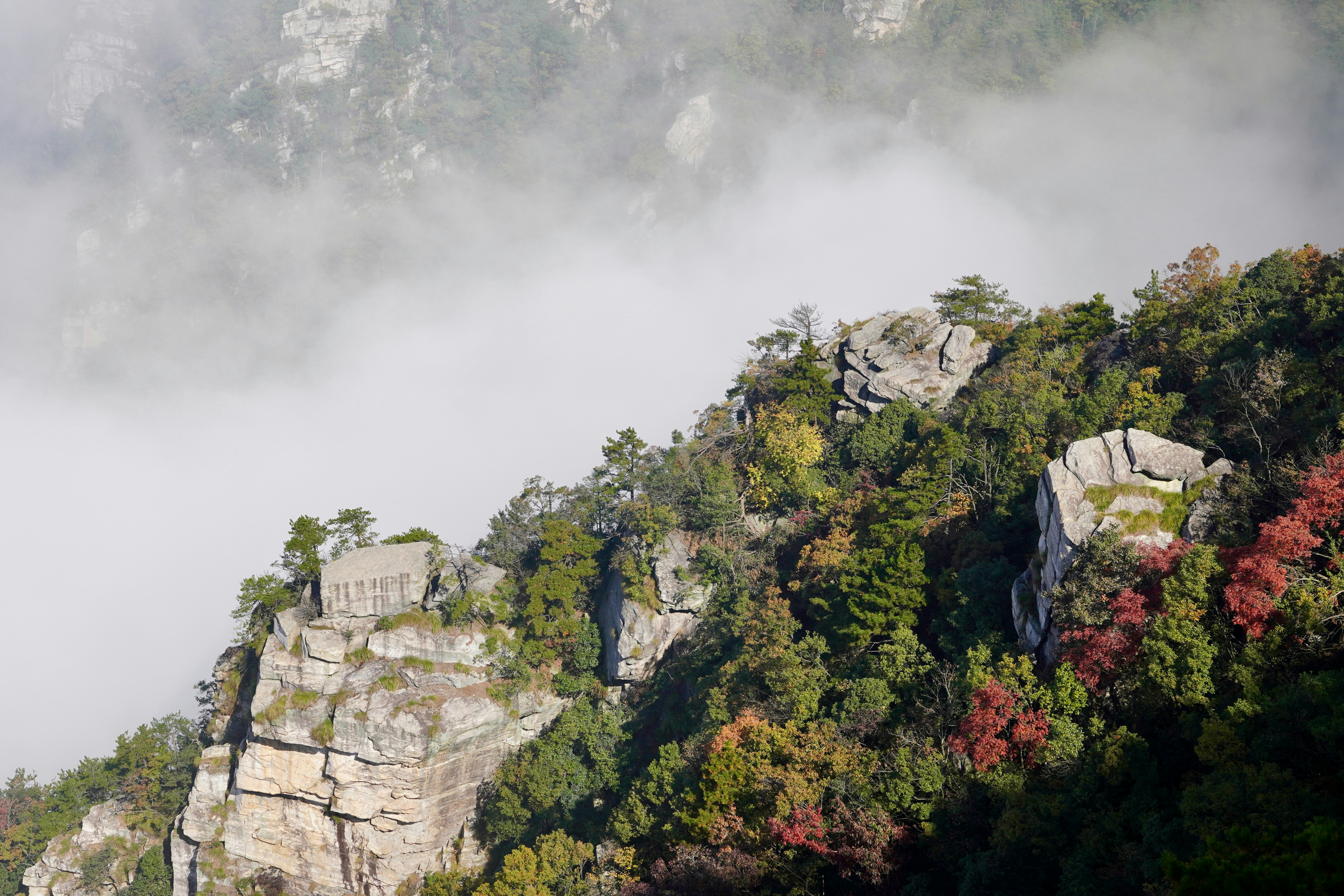 Cliffside Forest in Mist: Autumn Colors on Rocky Outcroppings