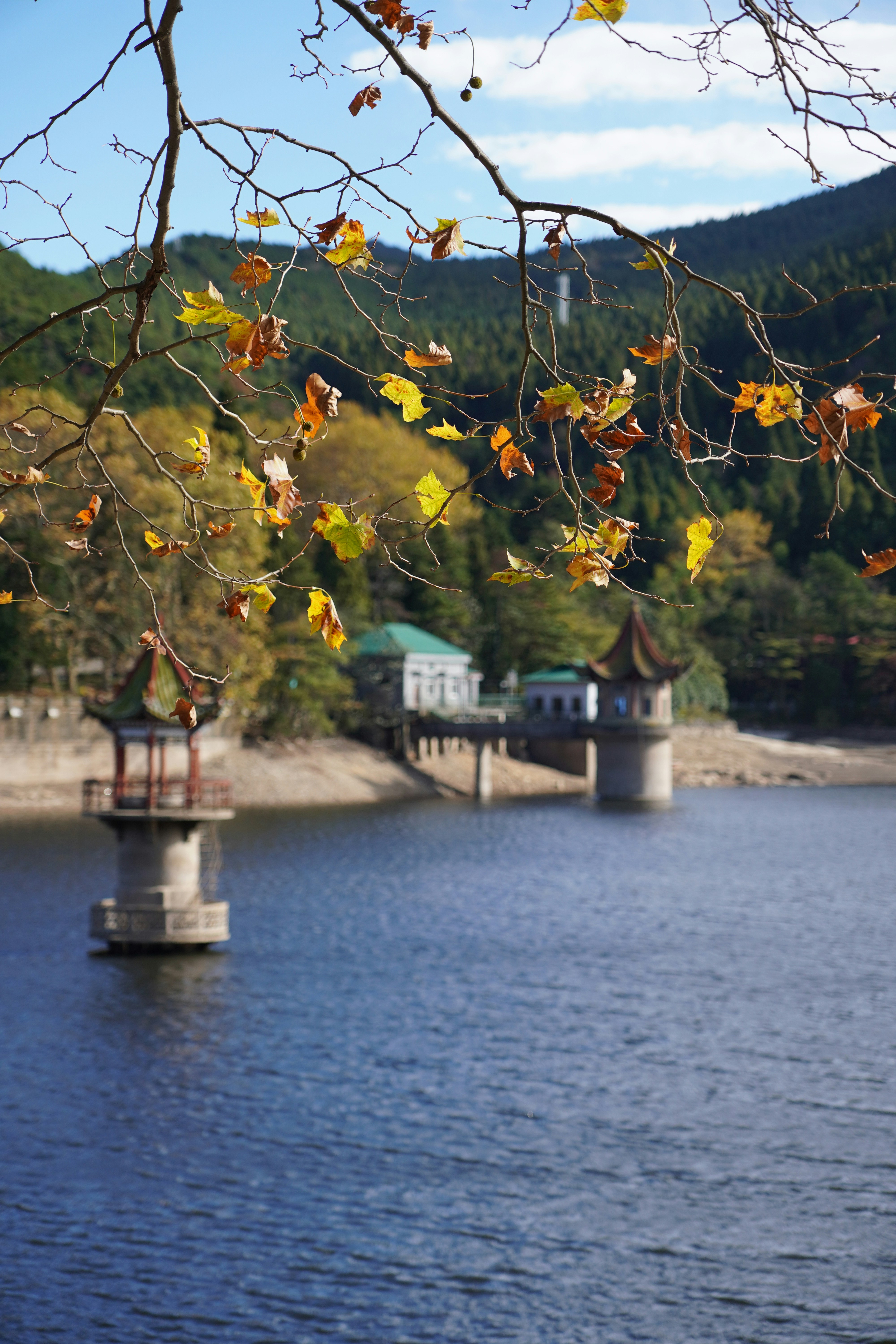 Autumn leaves trace a delicate frame over a calm lake with pagoda-style structures on a distant shore, creating a tranquil landscape vignette.