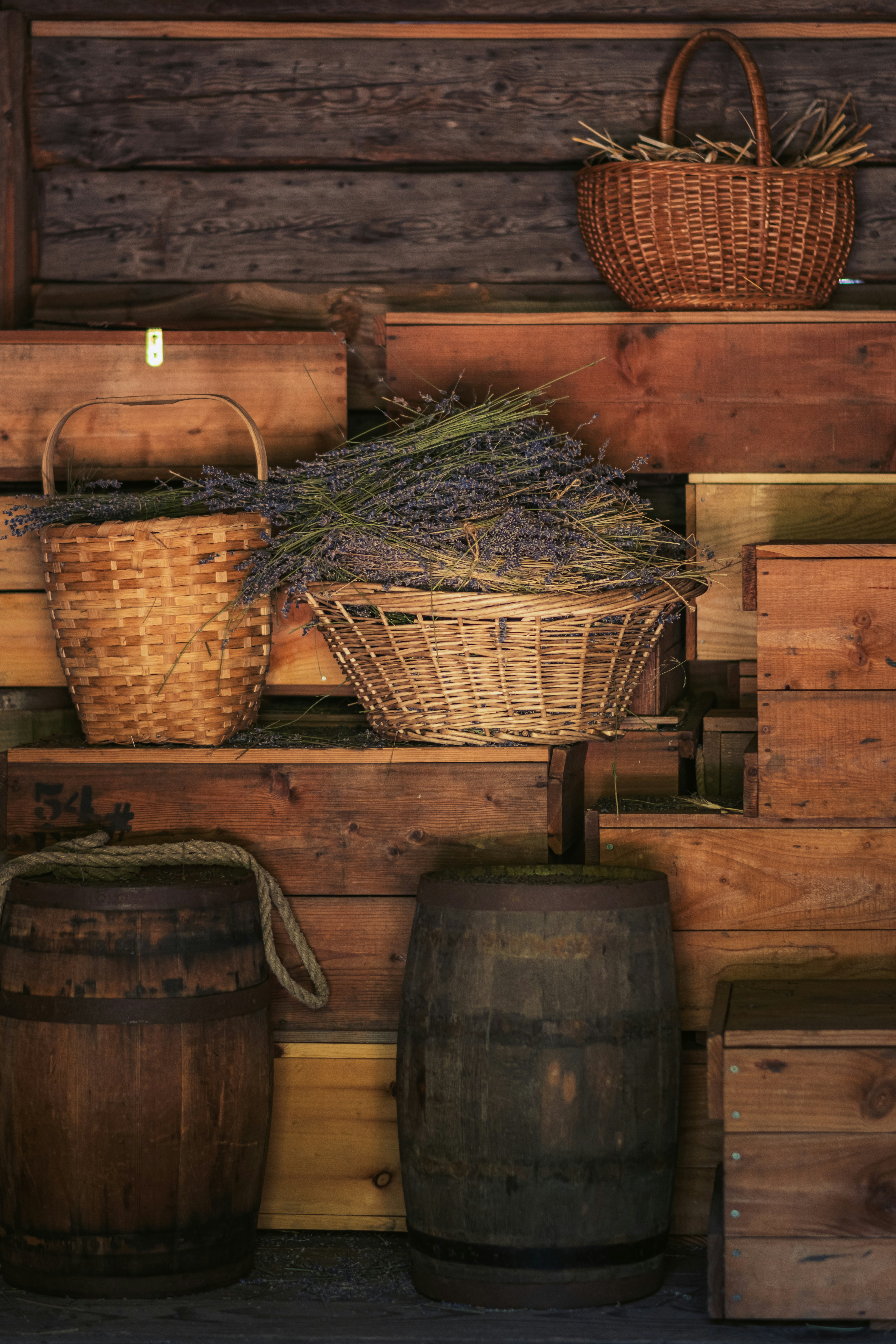 Lavender in a Rustic Market Basket