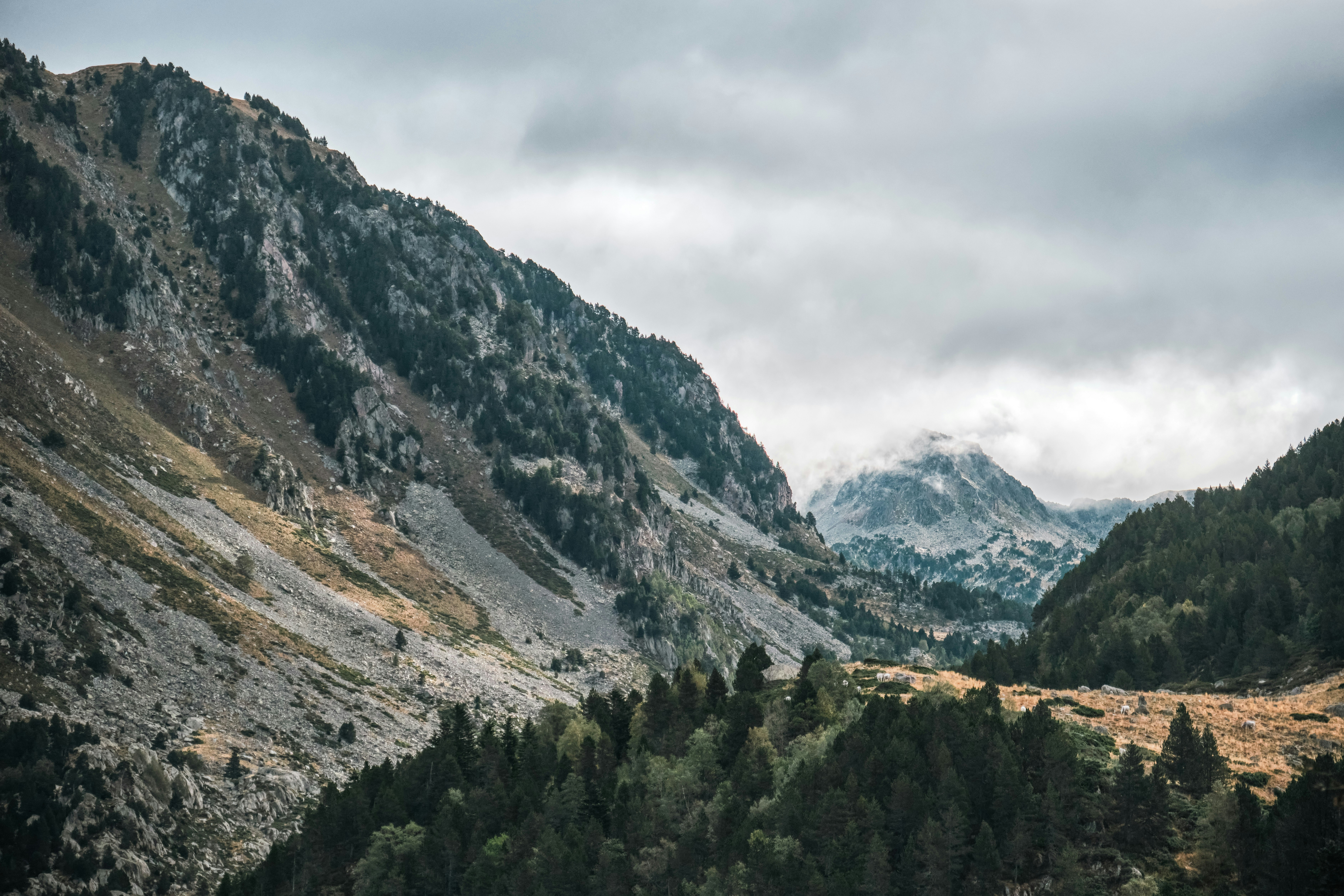 Ridgeway Gap: Snow-tipped Peak Peering Through Coastal Clouds