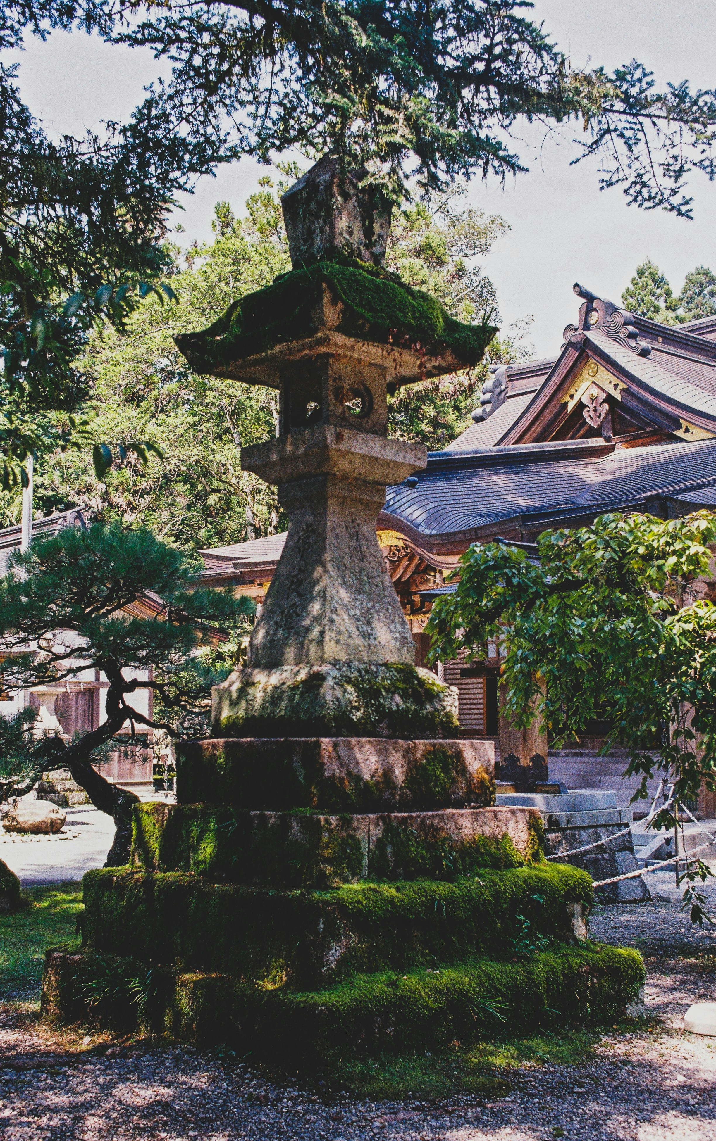 Moss-Capped Lantern in a Tranquil Shinto Courtyard