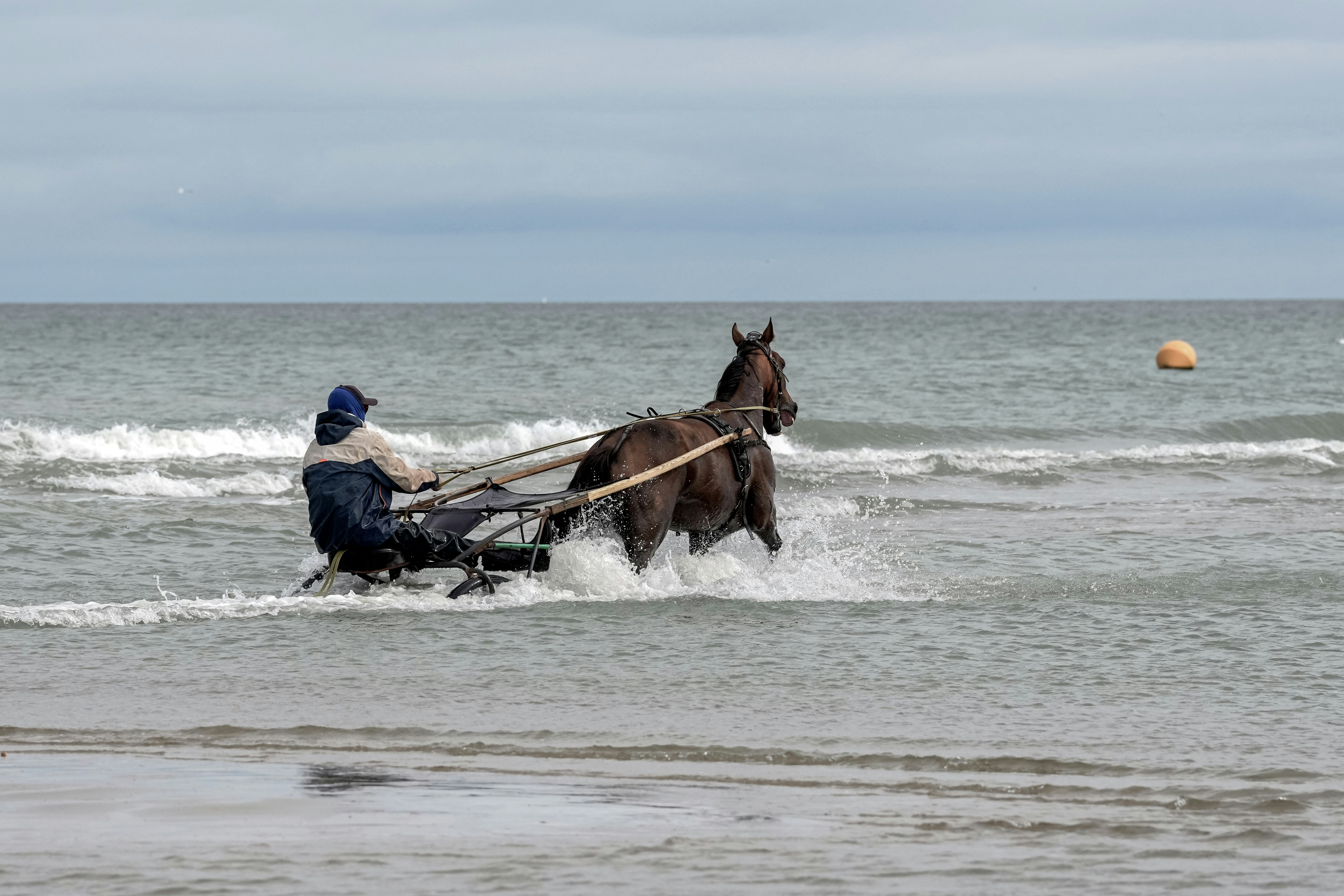 Horse-drawn cart rides through shallow sea, rider guiding along the coast; the scene captures motion and splash against a calm horizon. A coastal working image, not a portrait.