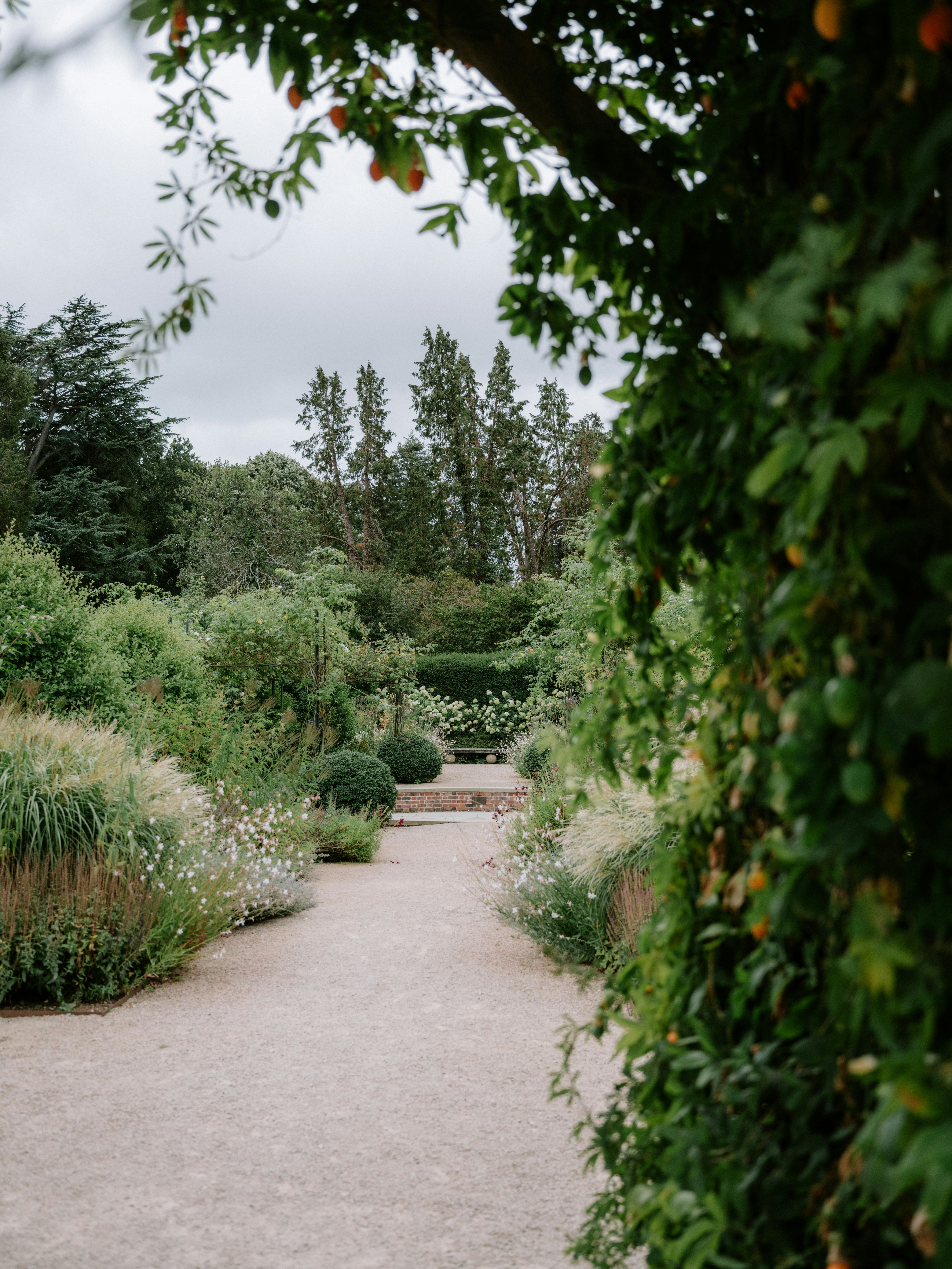 Garden Path Framed by Arching Foliage