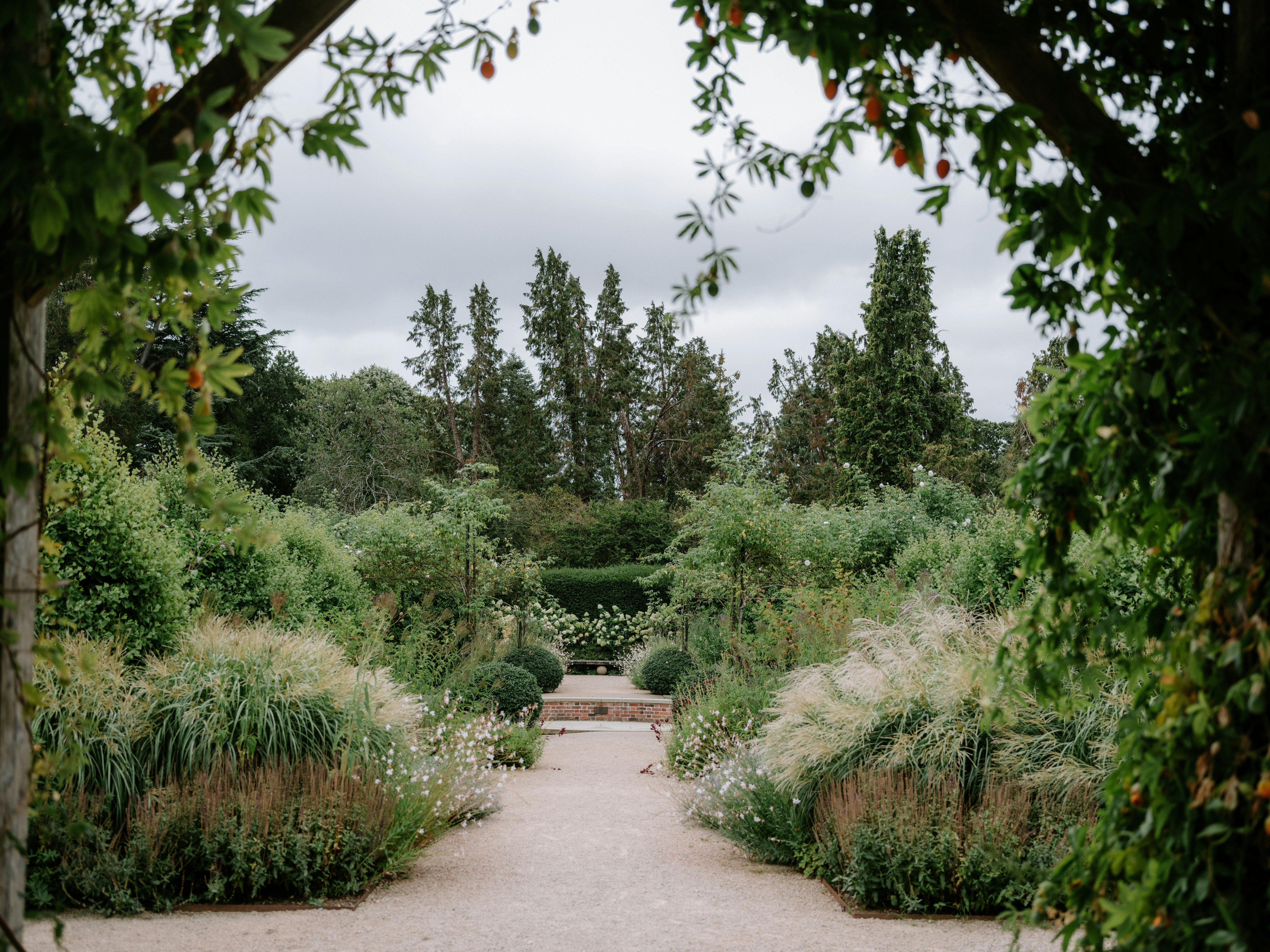 Pathway Through a Quiet Garden Tapestry