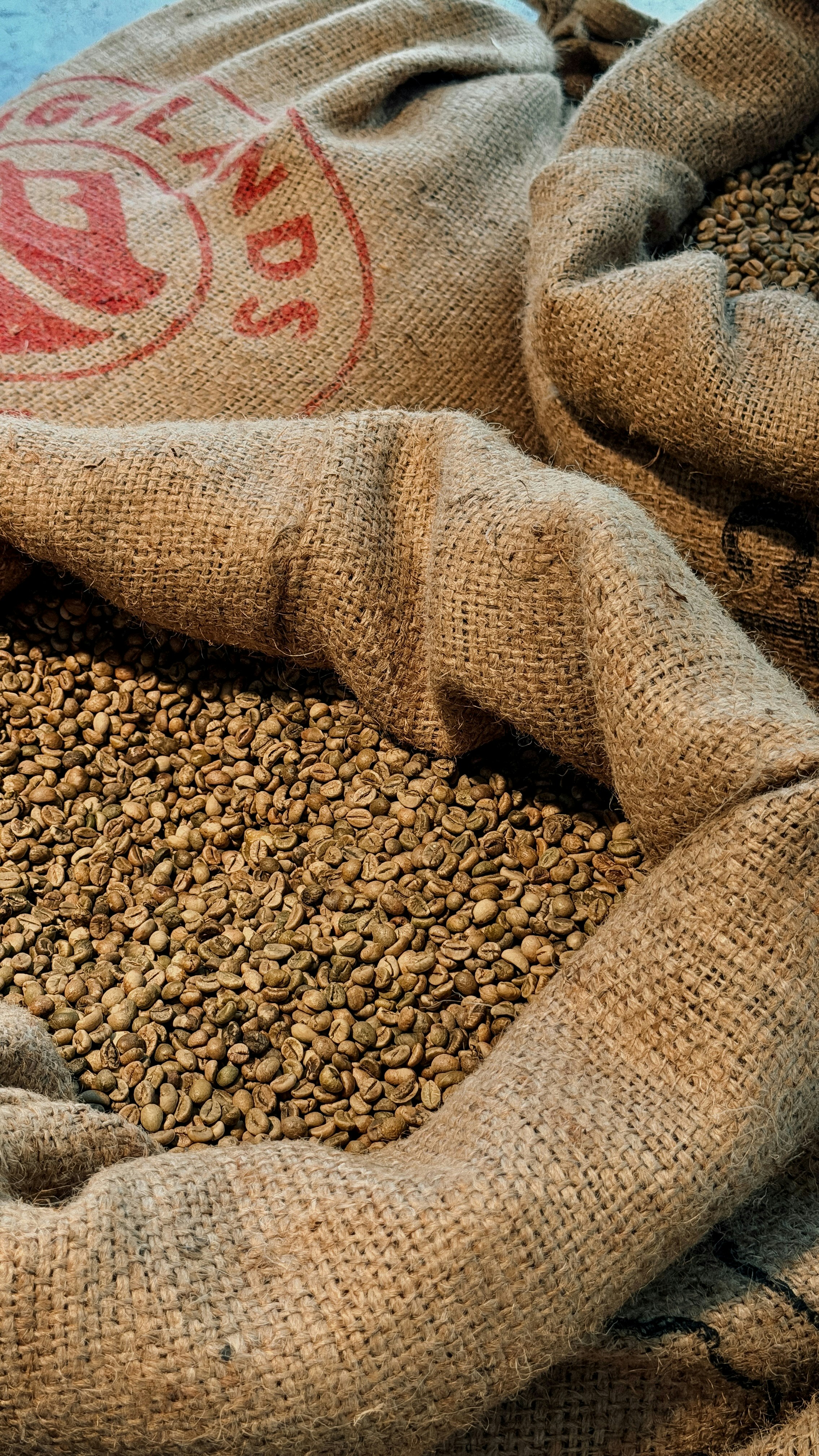 Sun-warmed Burlap Echoes of Coffee