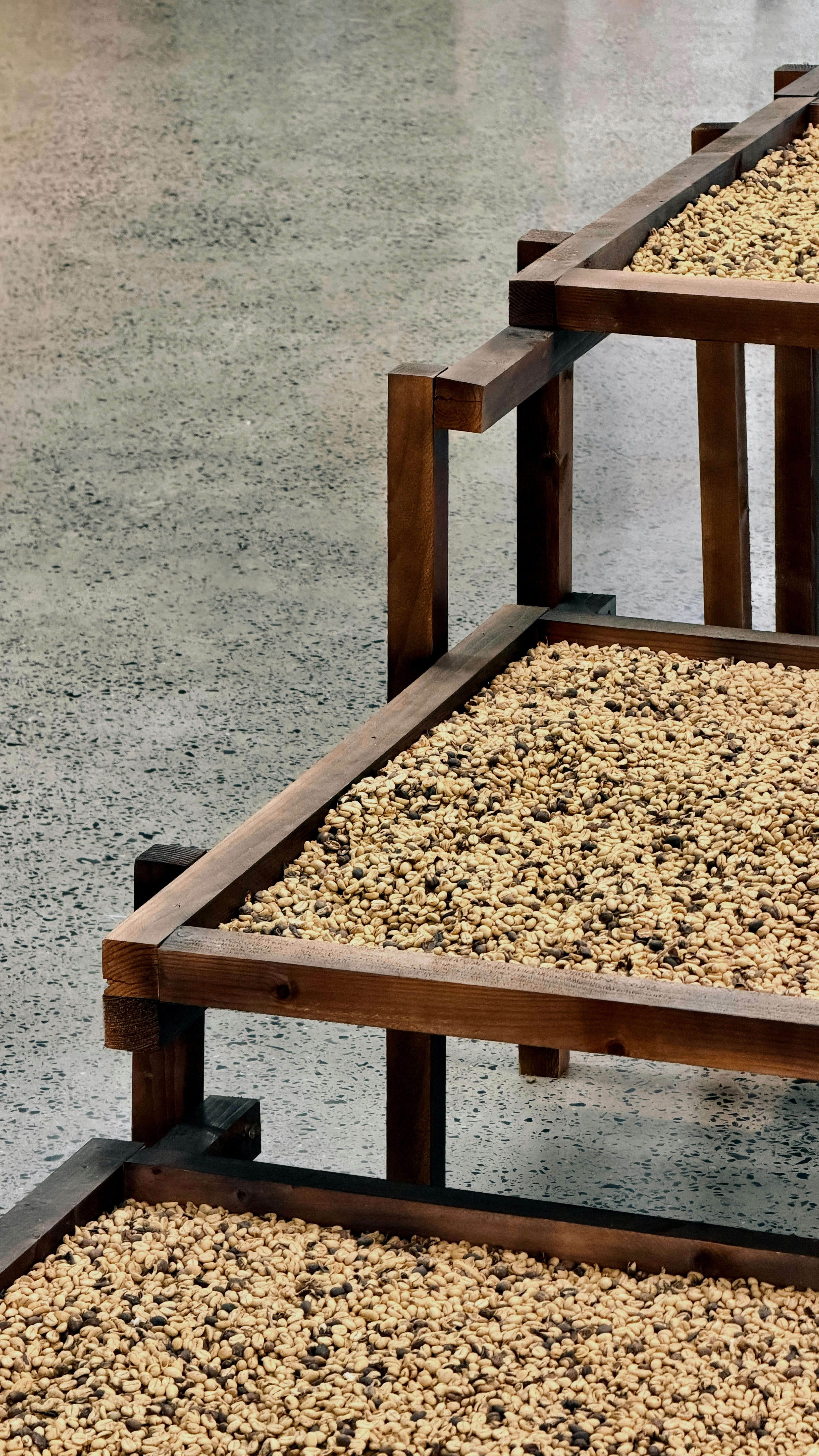 Wooden-framed planters filled with light pebbles extend diagonally across a concrete surface, emphasizing clean lines and natural textures.