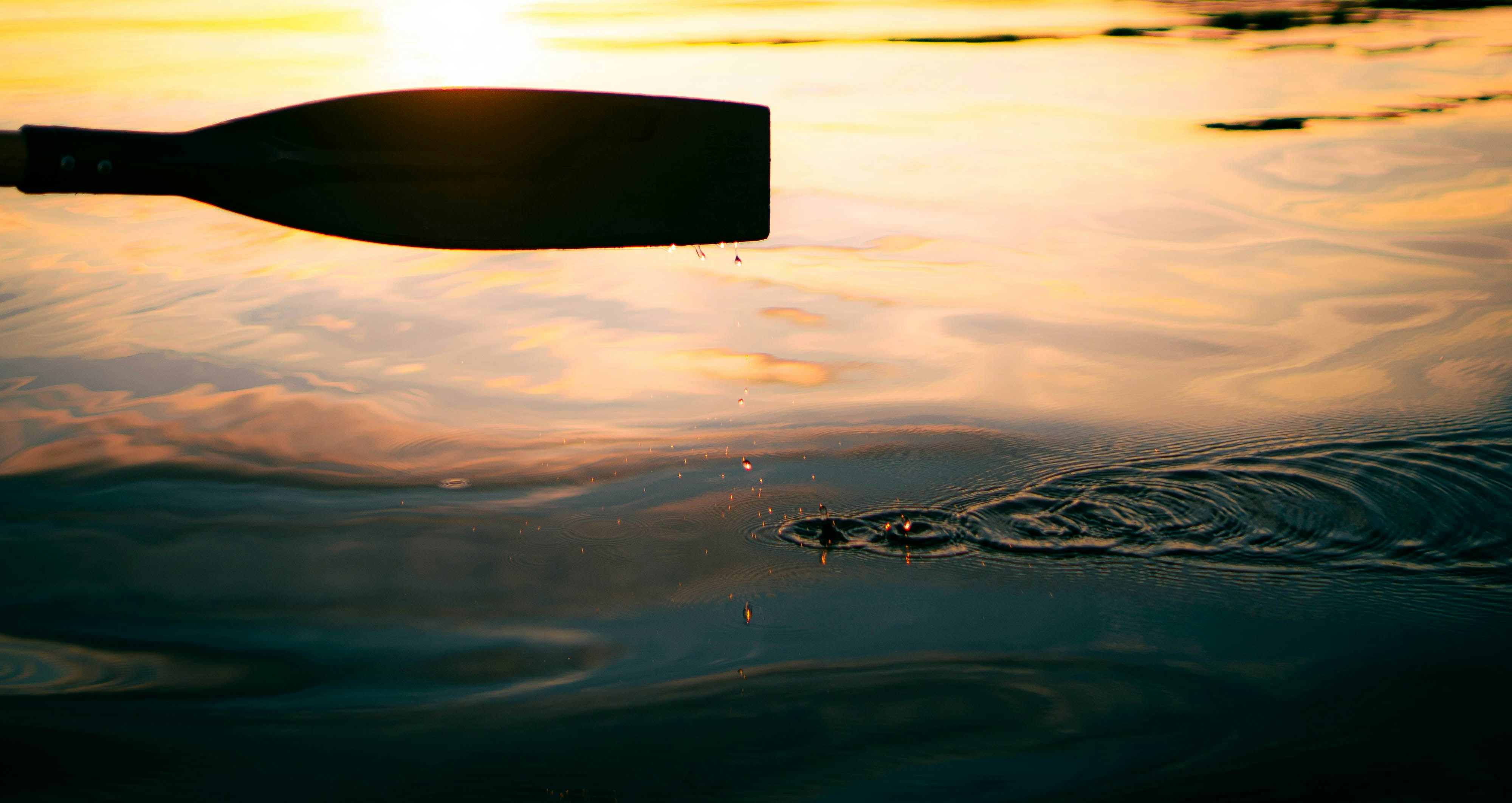 Silhouette of a Bottle Quietly Drifting at Dusk