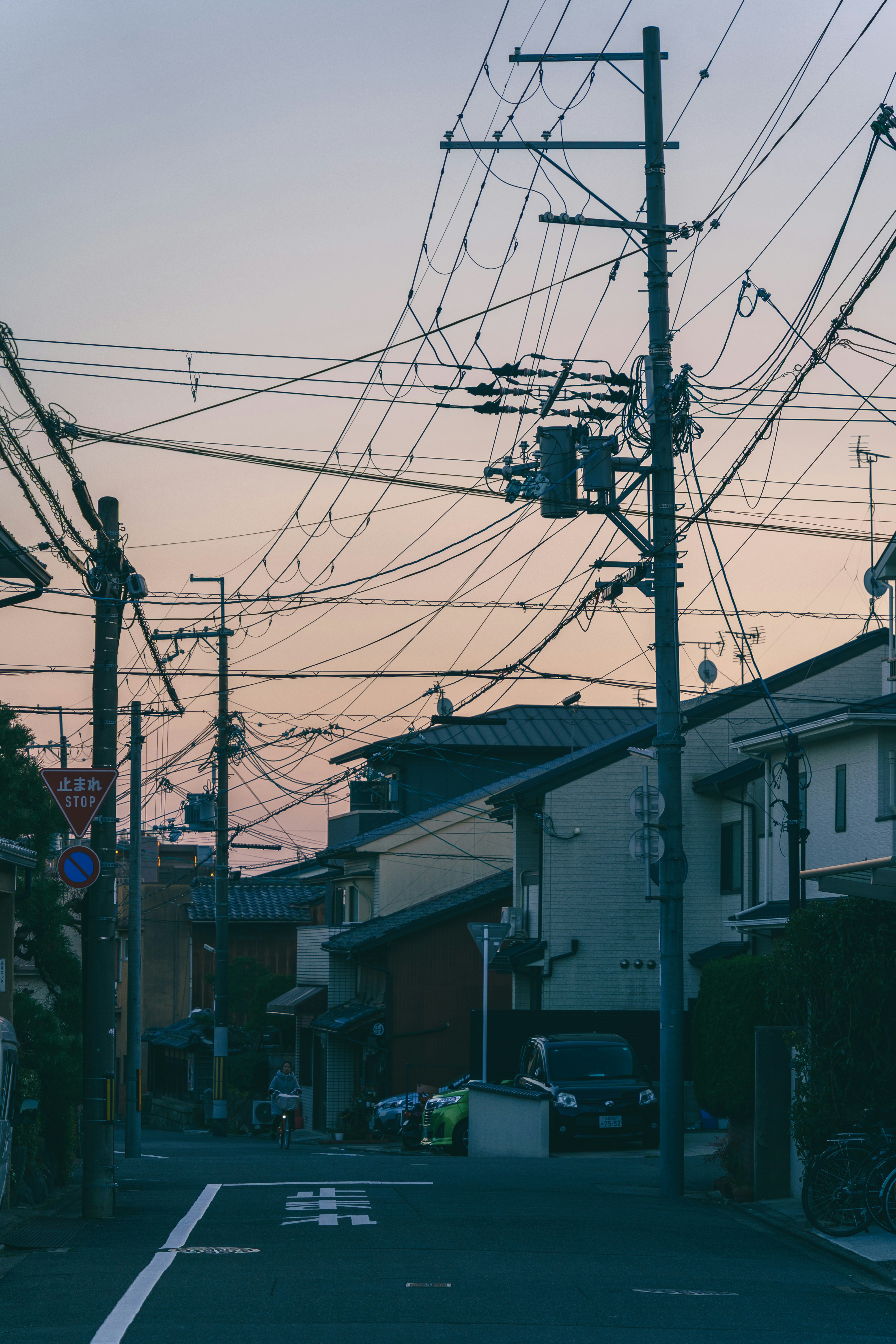 Electric Tangle at Dusk: Neighbourhood Streetscale