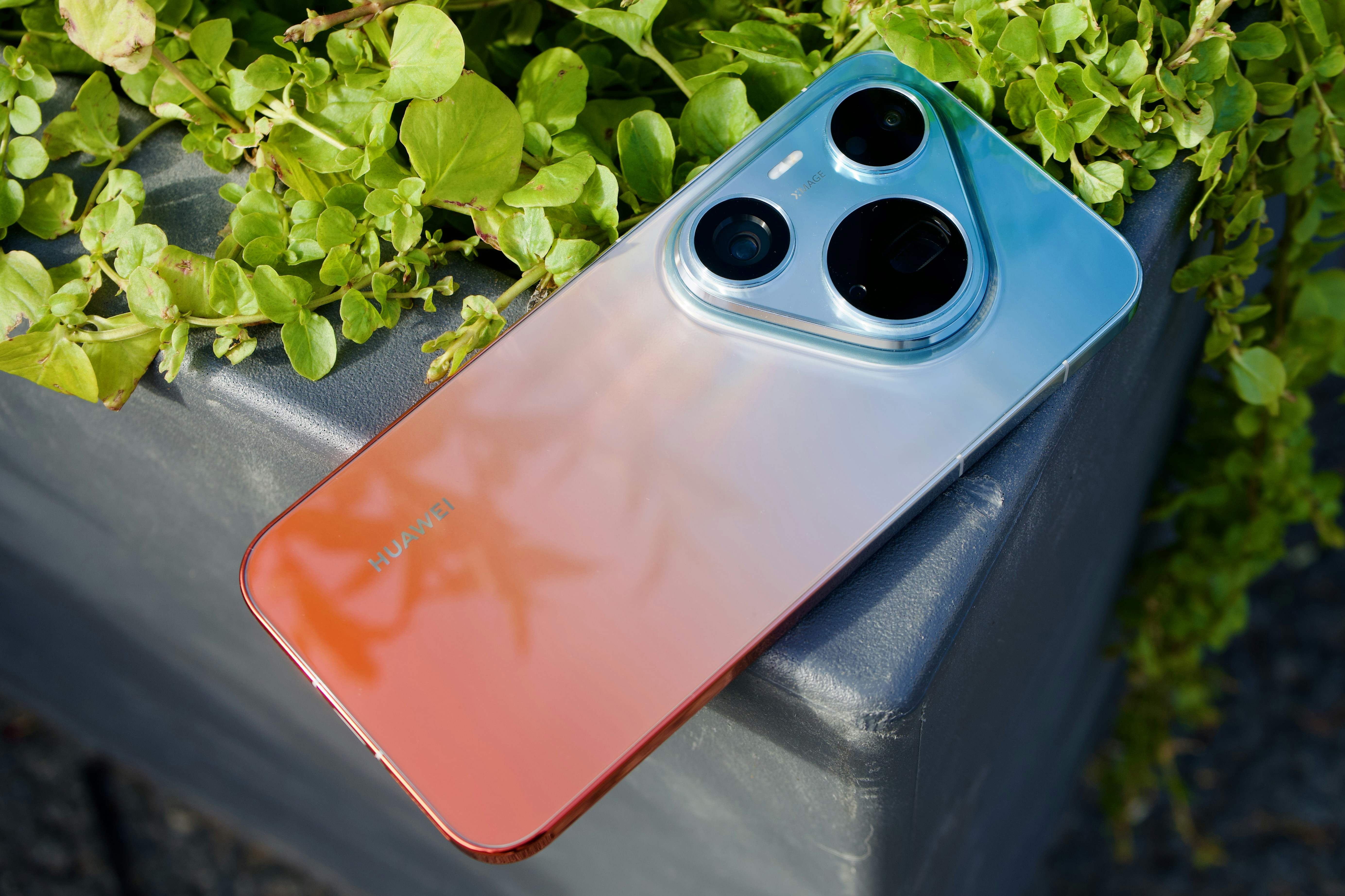 Chromatic Edge: A Rainbow iPhone Resting on a Plant-Lined Concrete Rail