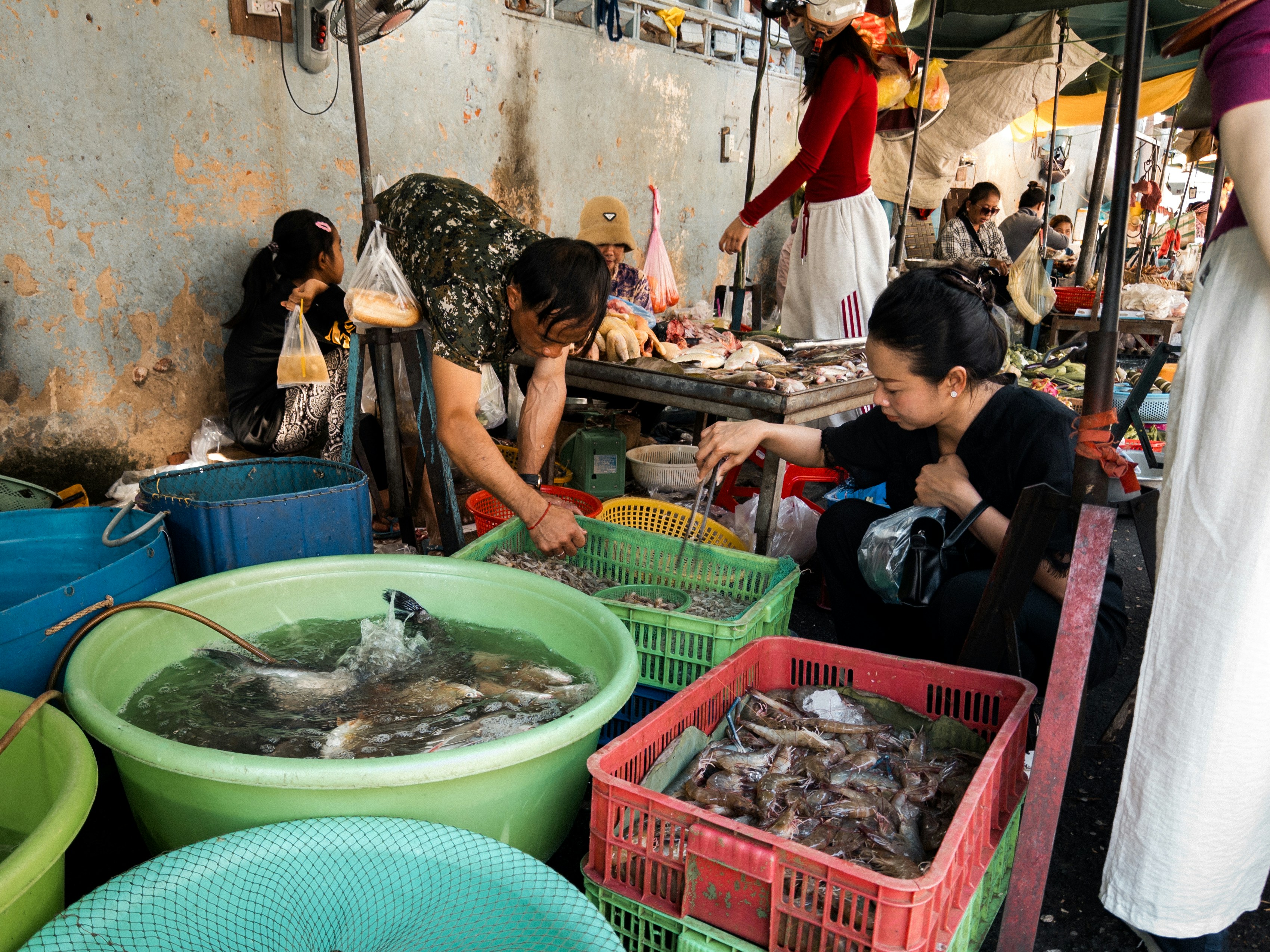 Market Hands: Bartering for Fresh Catch Under a Canopy