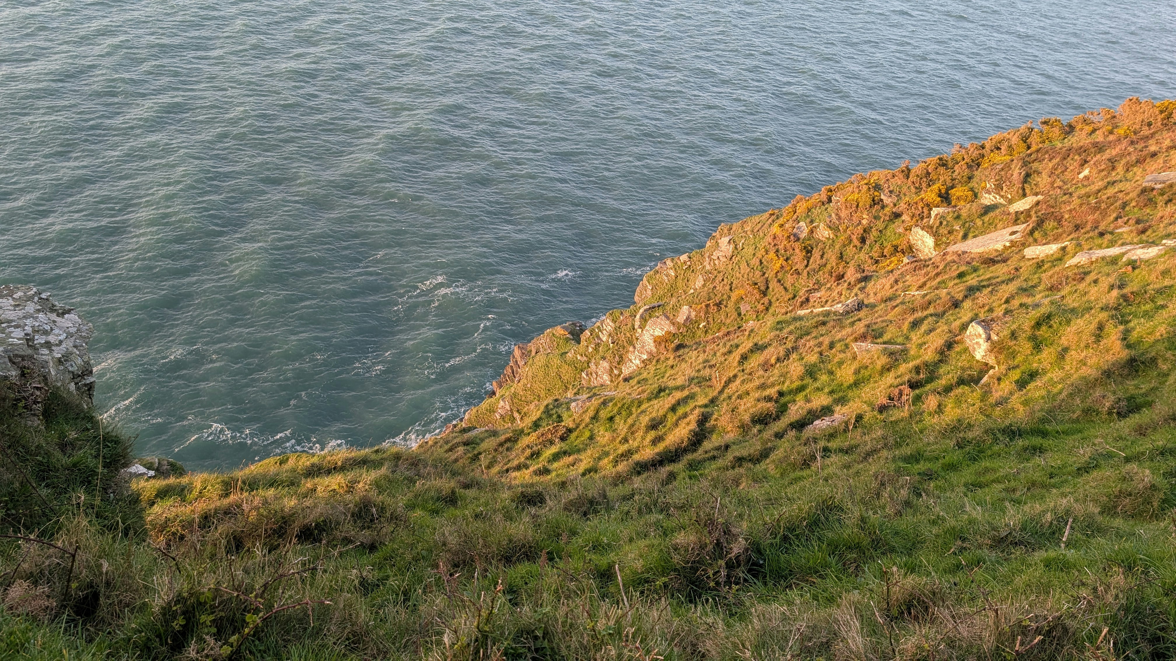 Sunlit Cliffside: Coastal Grass and Rock Meet the Sea