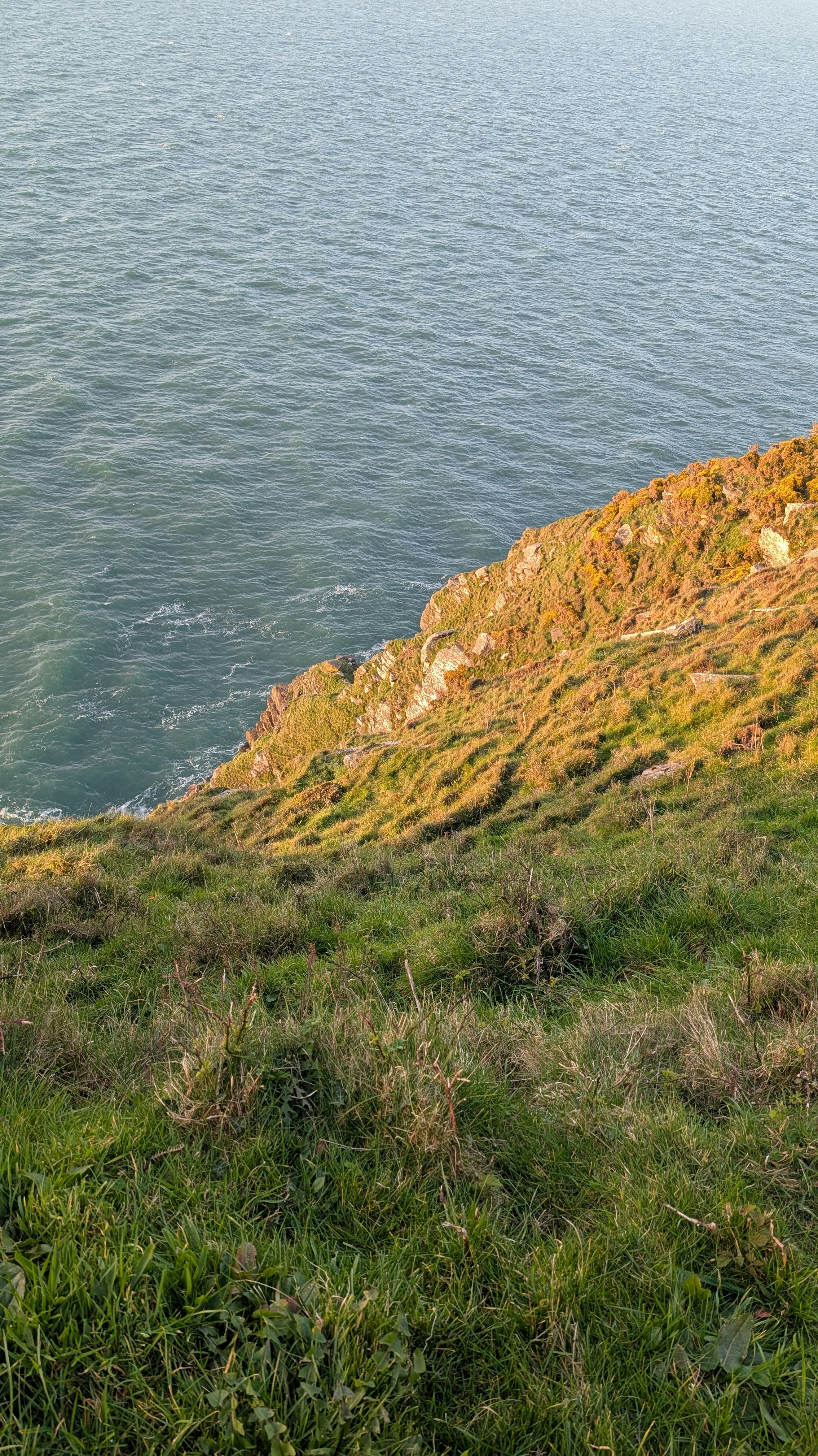 Cliffside Sea Vista: Grass and Cliff Meet the Endless Blue
