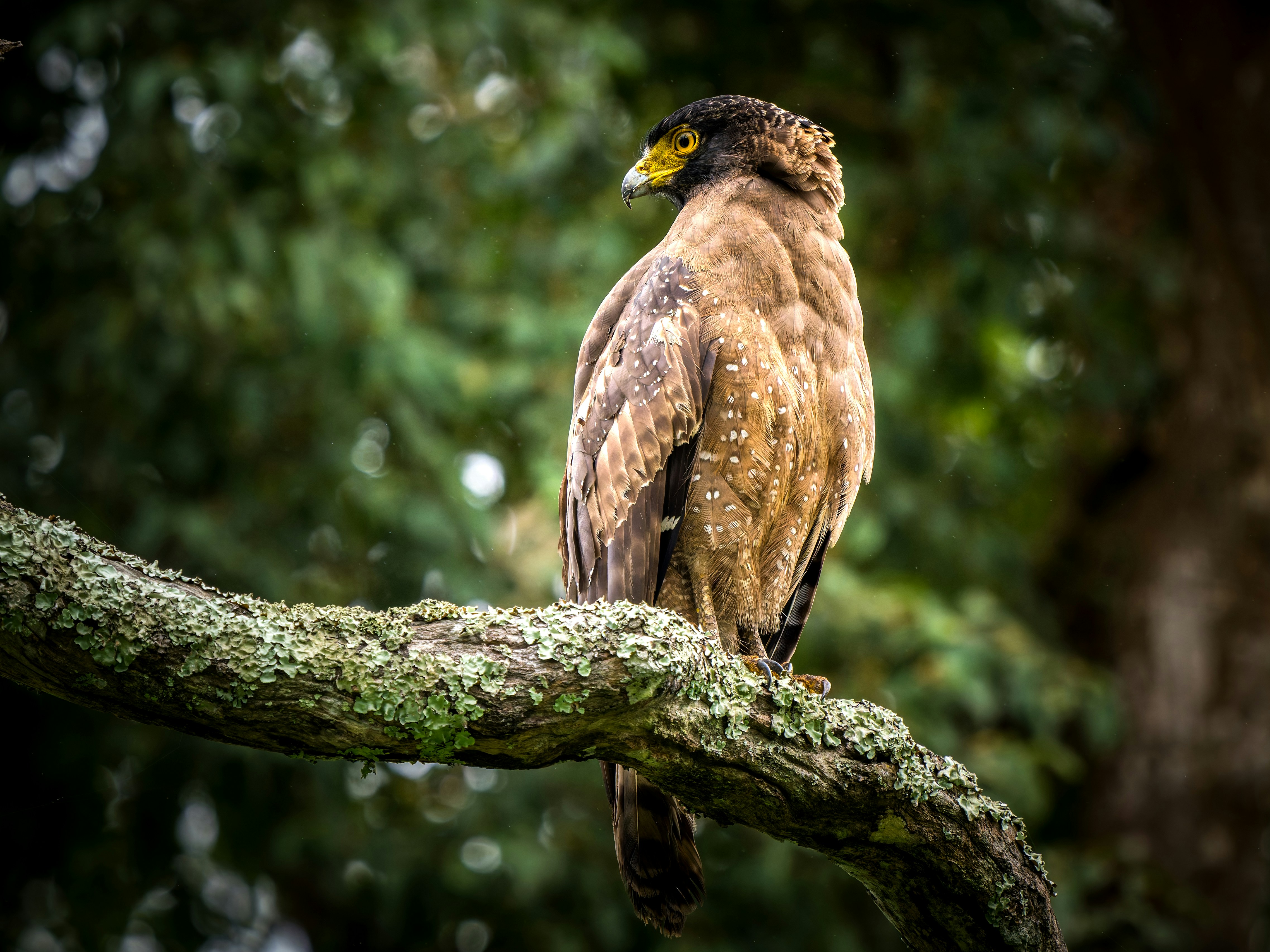 Photo by Doncoombez