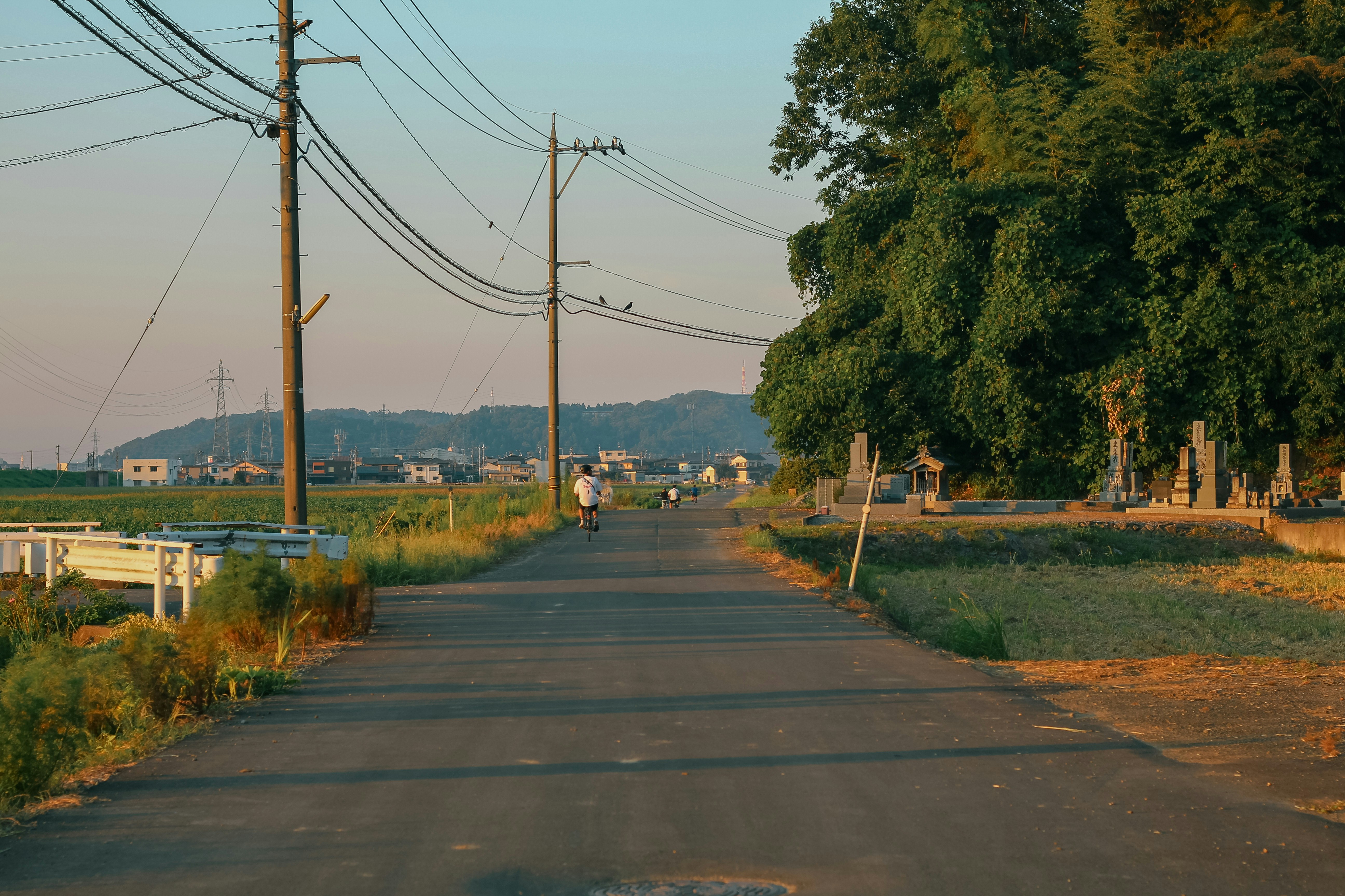 Sunlit Rural Roadway Leading Toward Distant Hills