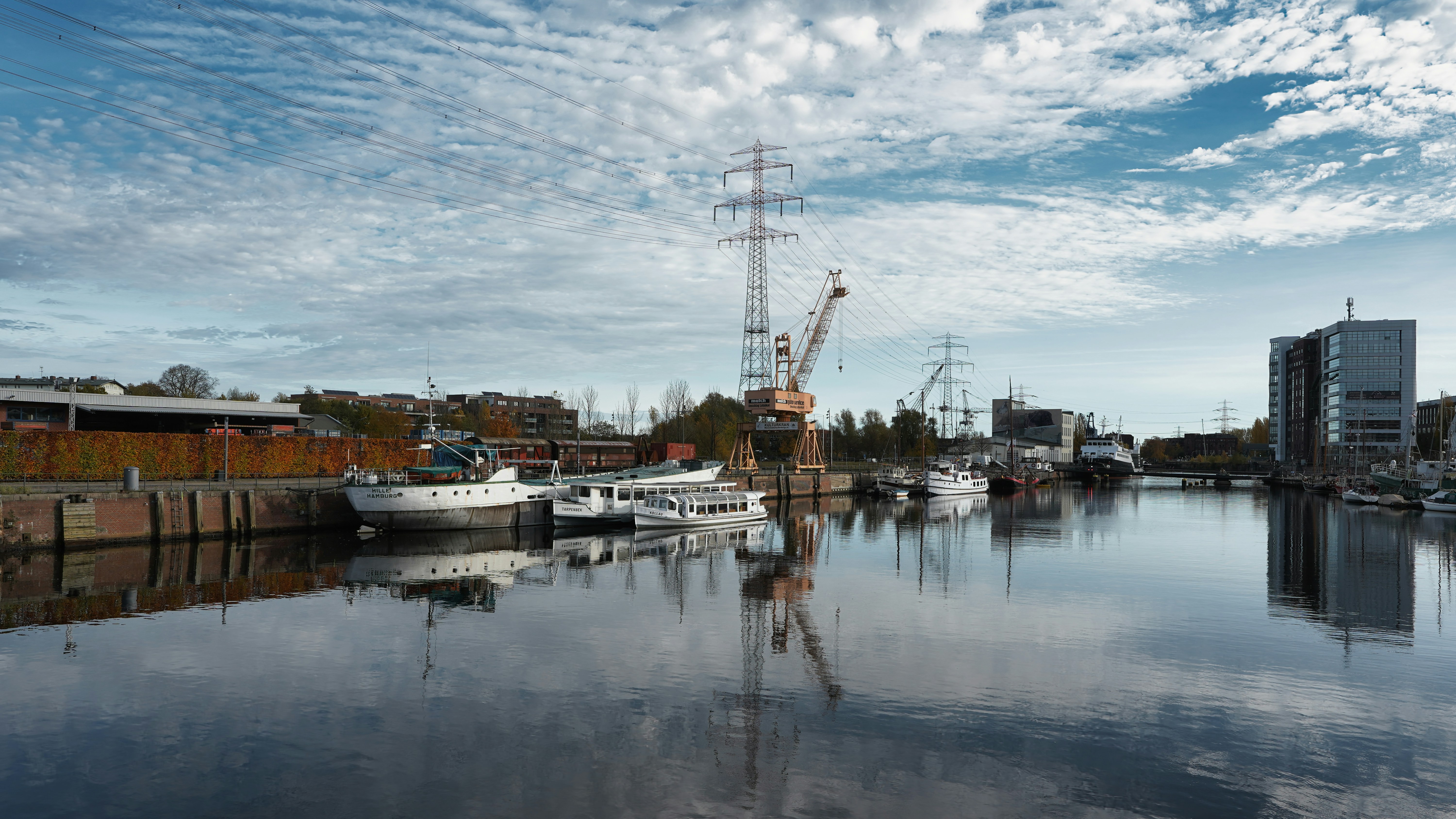 Harbor Reflections Under a Sky of Ripples and Cranes