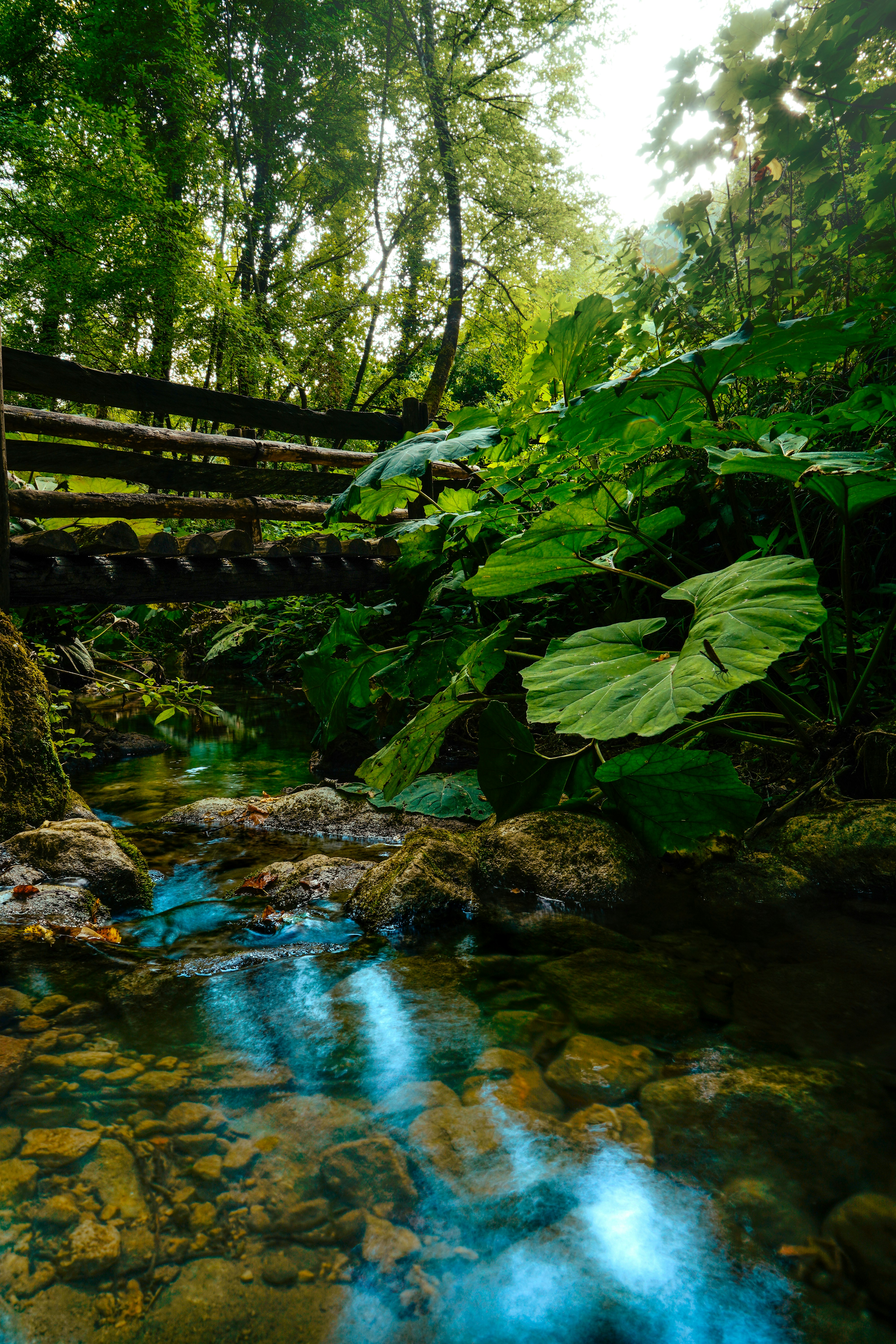 Verdant Bridge Quietude Over a Shimmering Stream