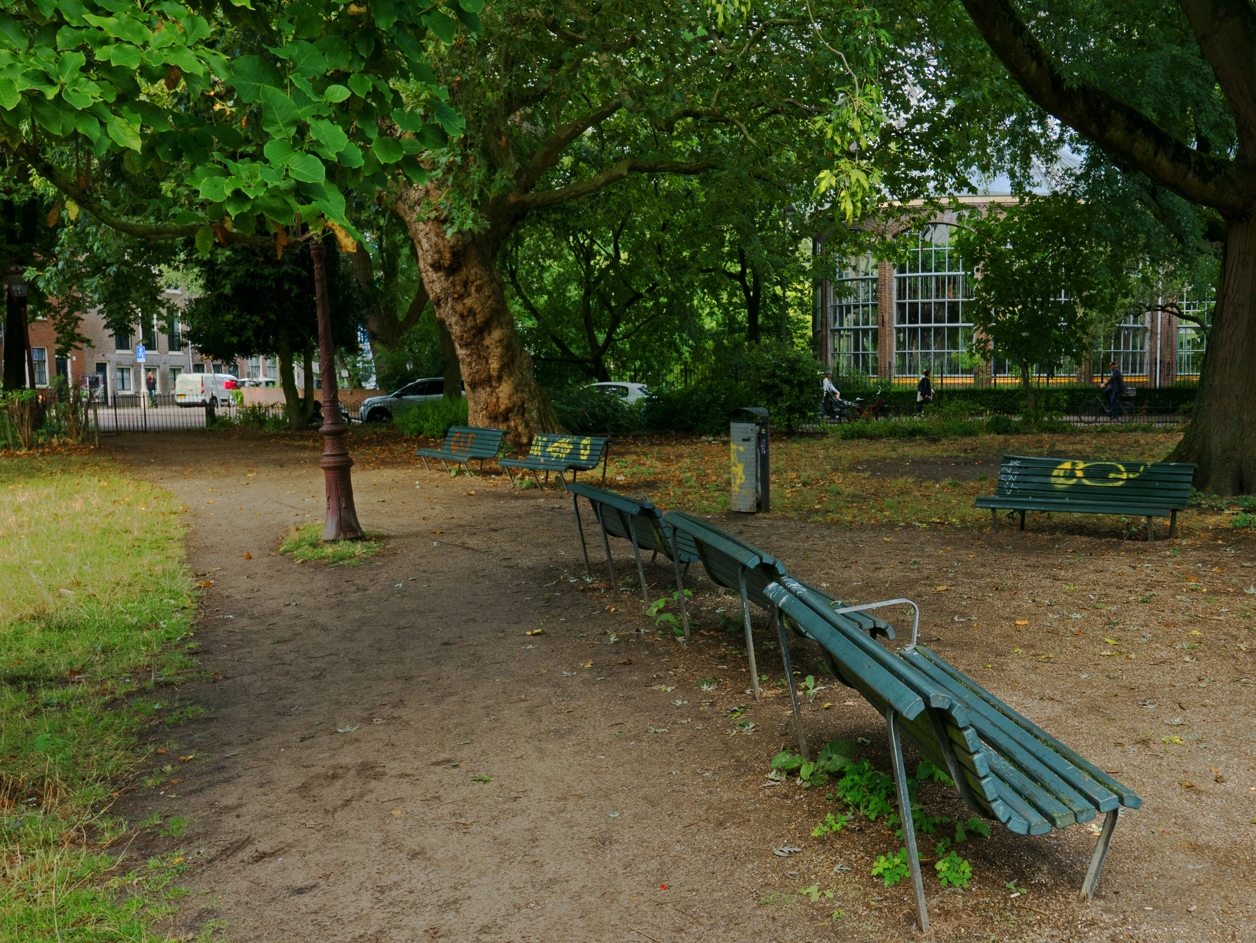 Quiet Park Corridor: Bend of Benches Under a Leafy Canopy