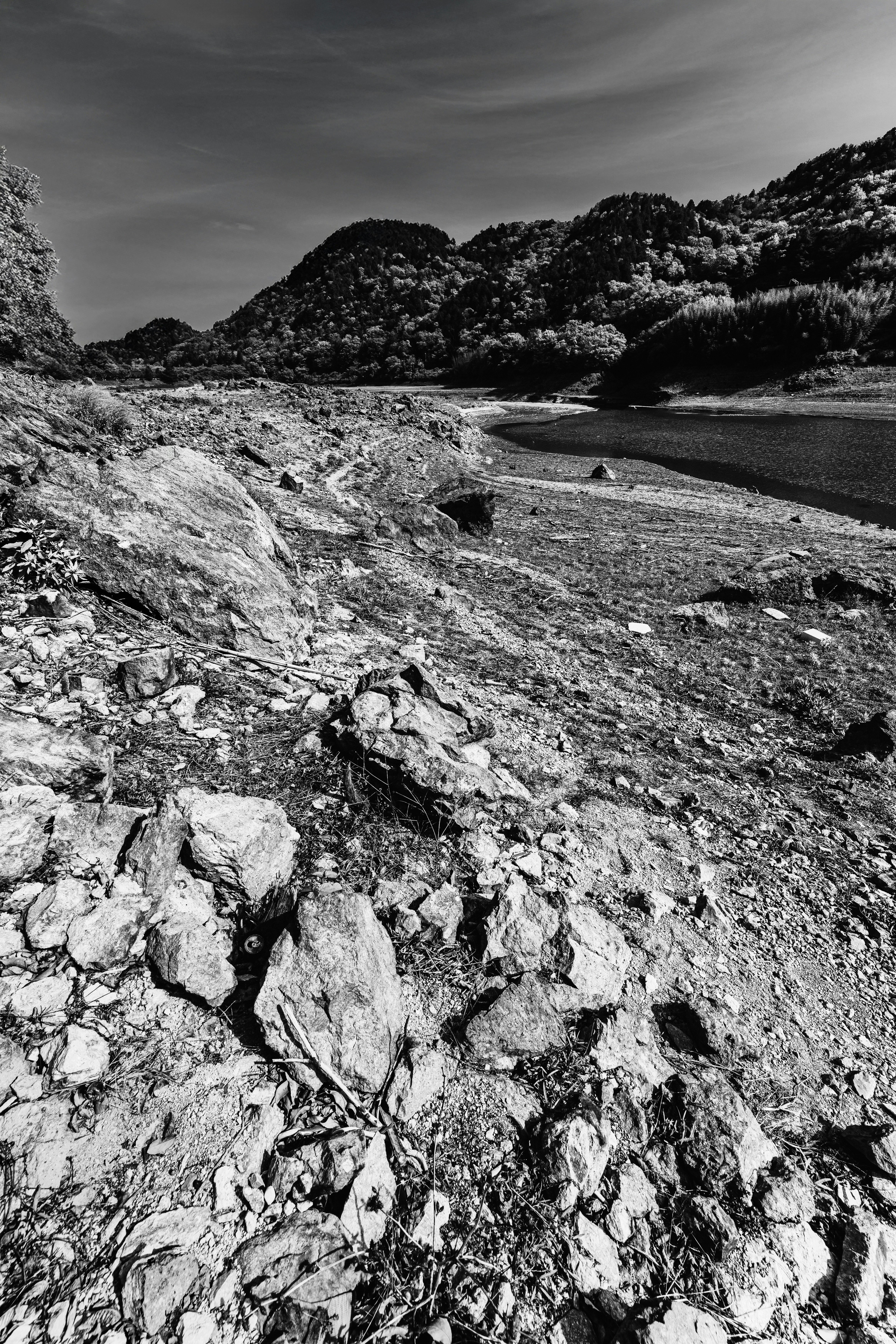 Rugged shoreline converging toward forested hills under a sweeping sky