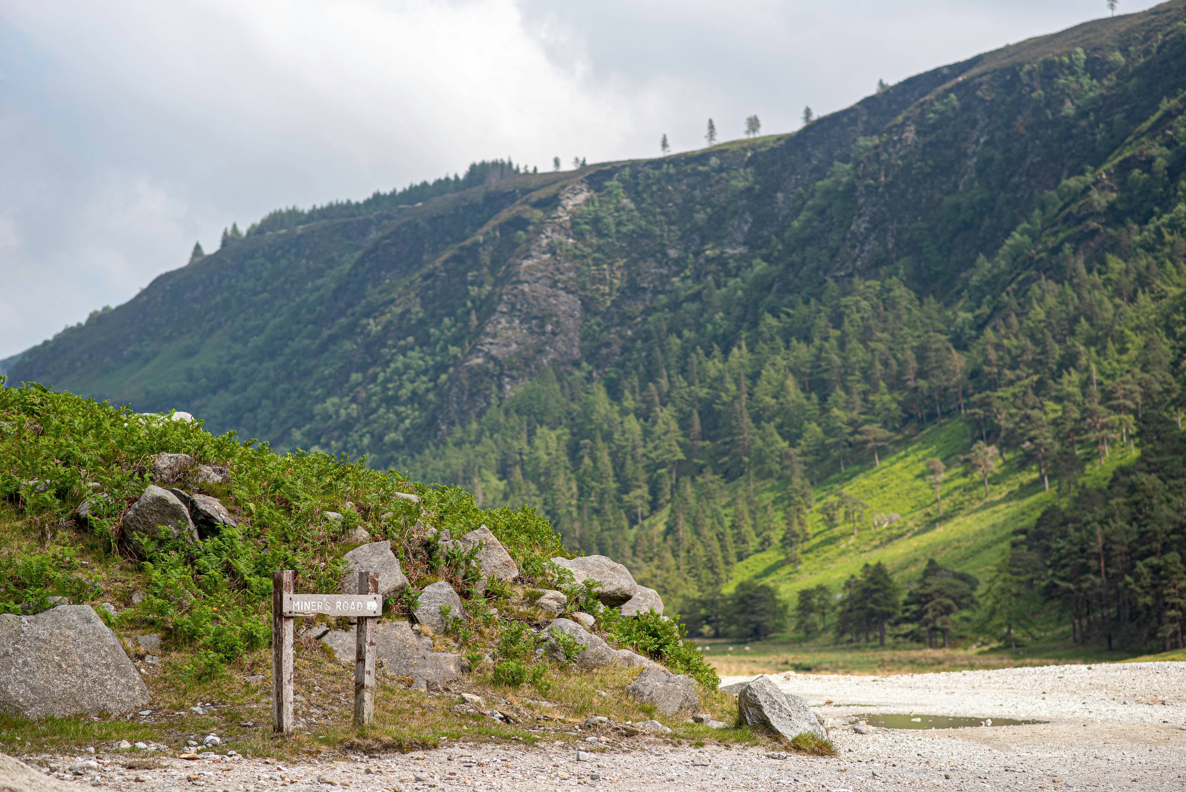 Trailside Signpost at the Edge of Green Slopes