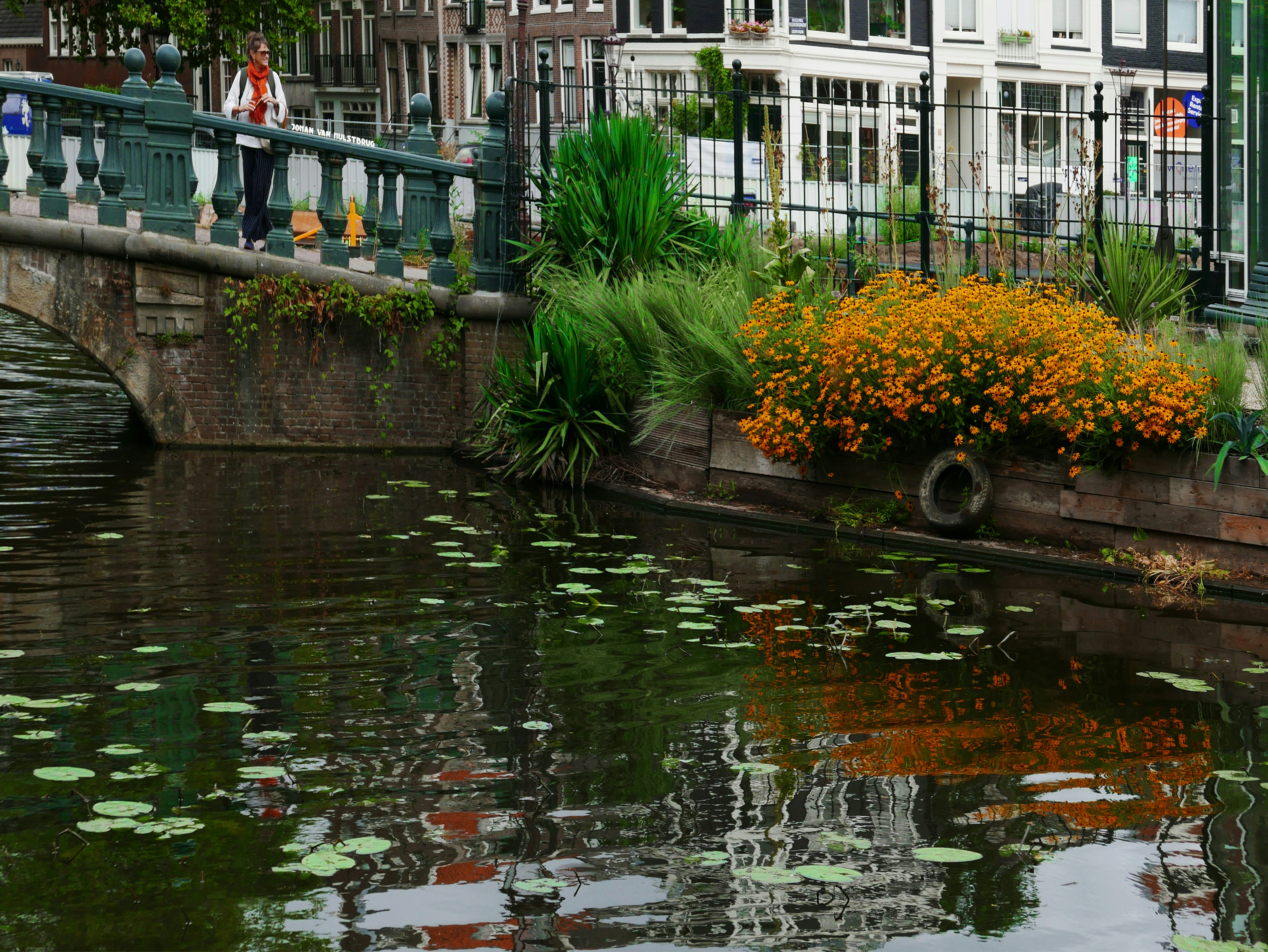 Canal Edge in Bloom: A Quiet Moment by the Bridge