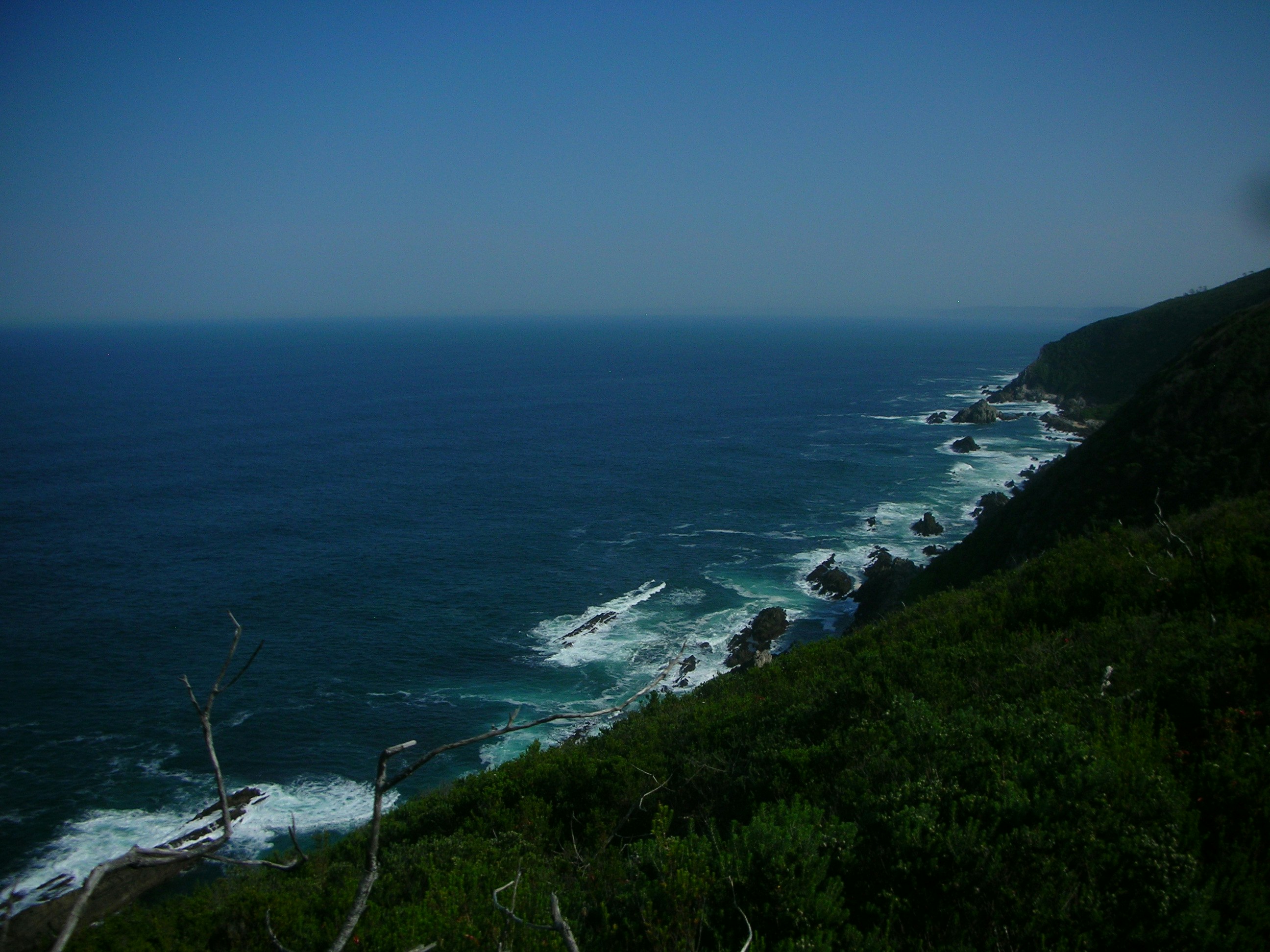 Coastline rugged cliffs meet the blue sea with waves breaking along rocks; foreground shrubs frame the midground leading to an expansive horizon.