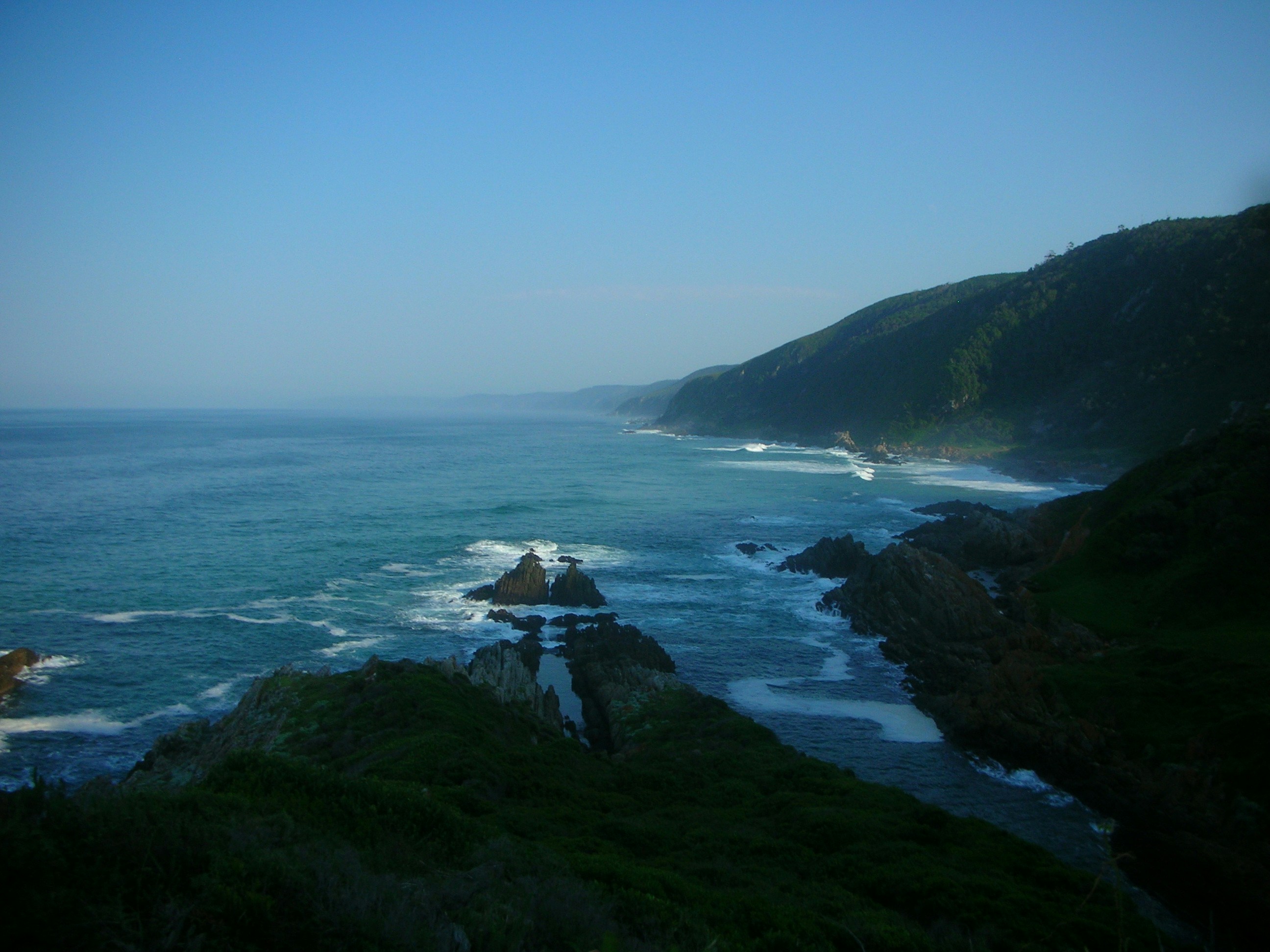 Dune-Edge Vista over the Blue One-Point Coast