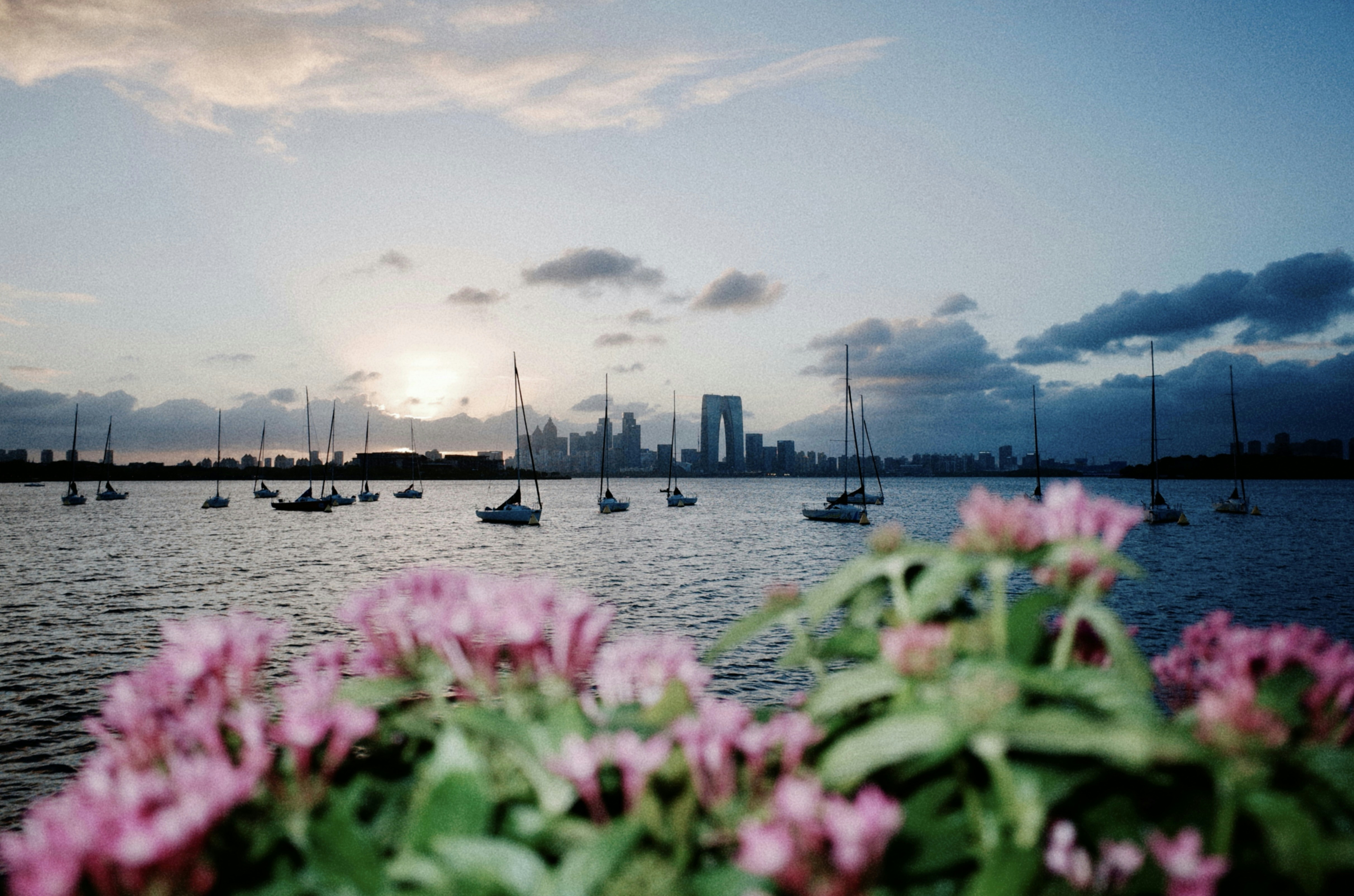 Bouquet of Boats and City Sunset
