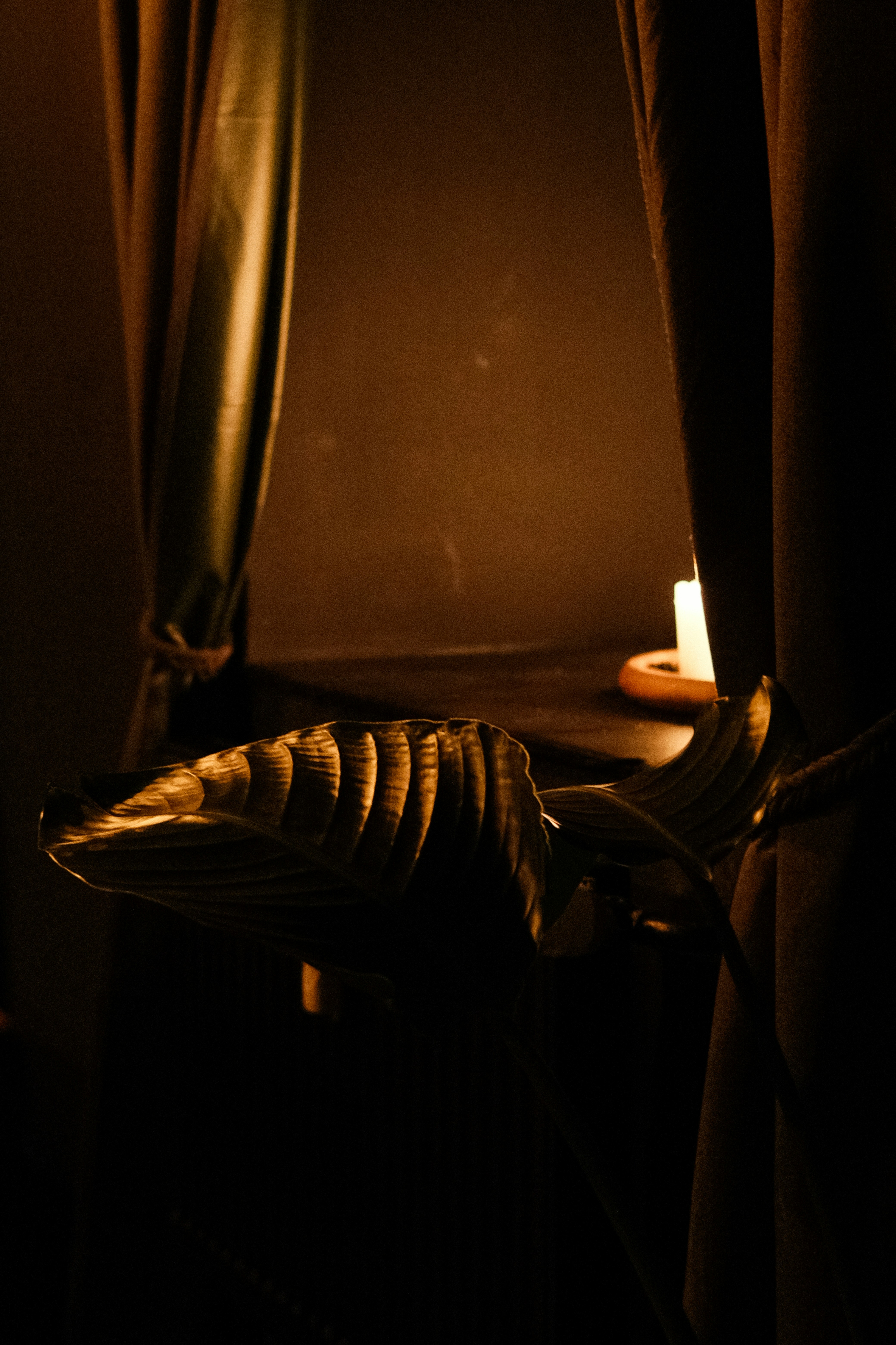 Candlelit Plant Shade on a Quiet Night