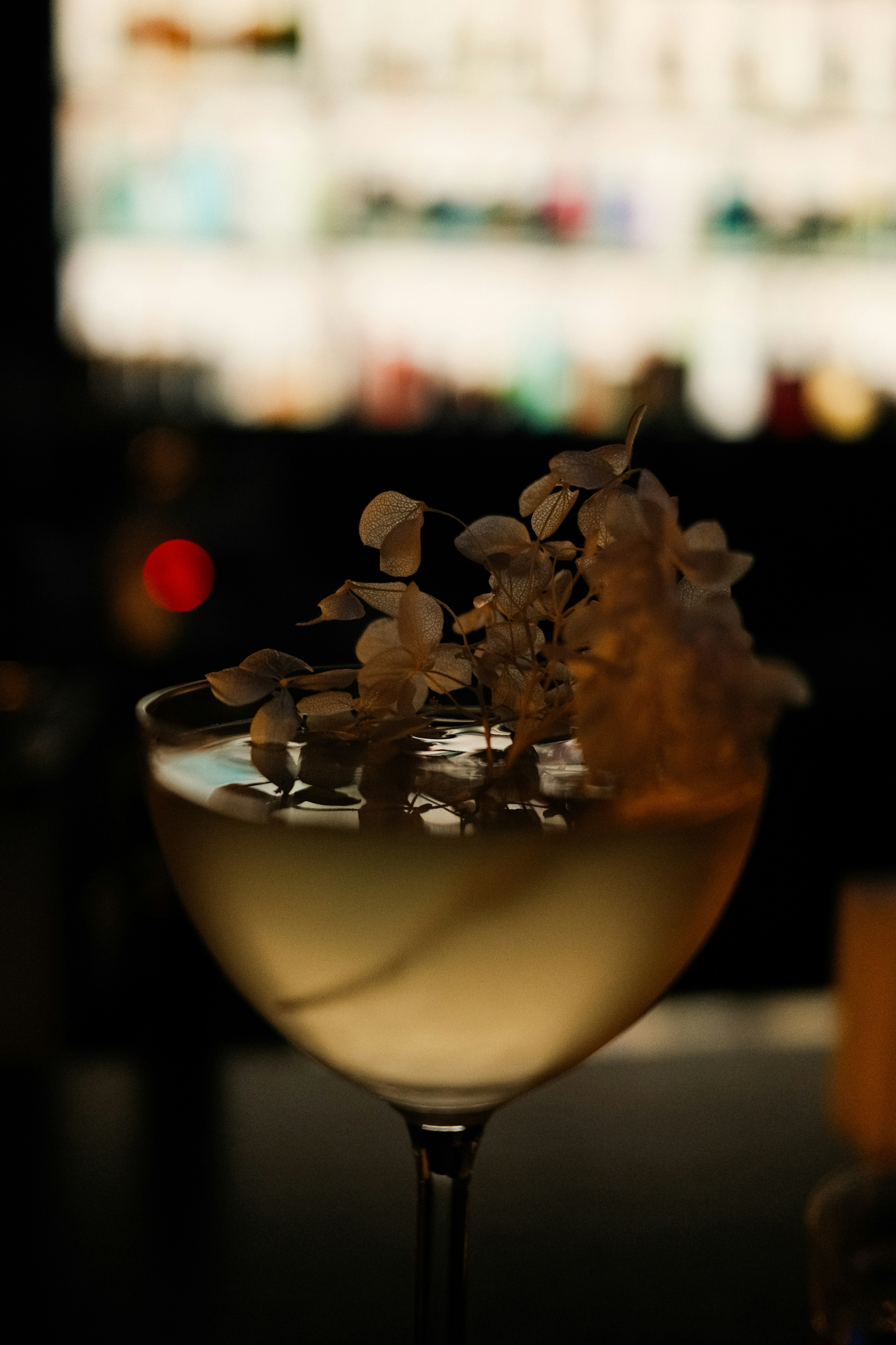 Gentle Glow: Dried Sprigs Resting in a Glass at Night