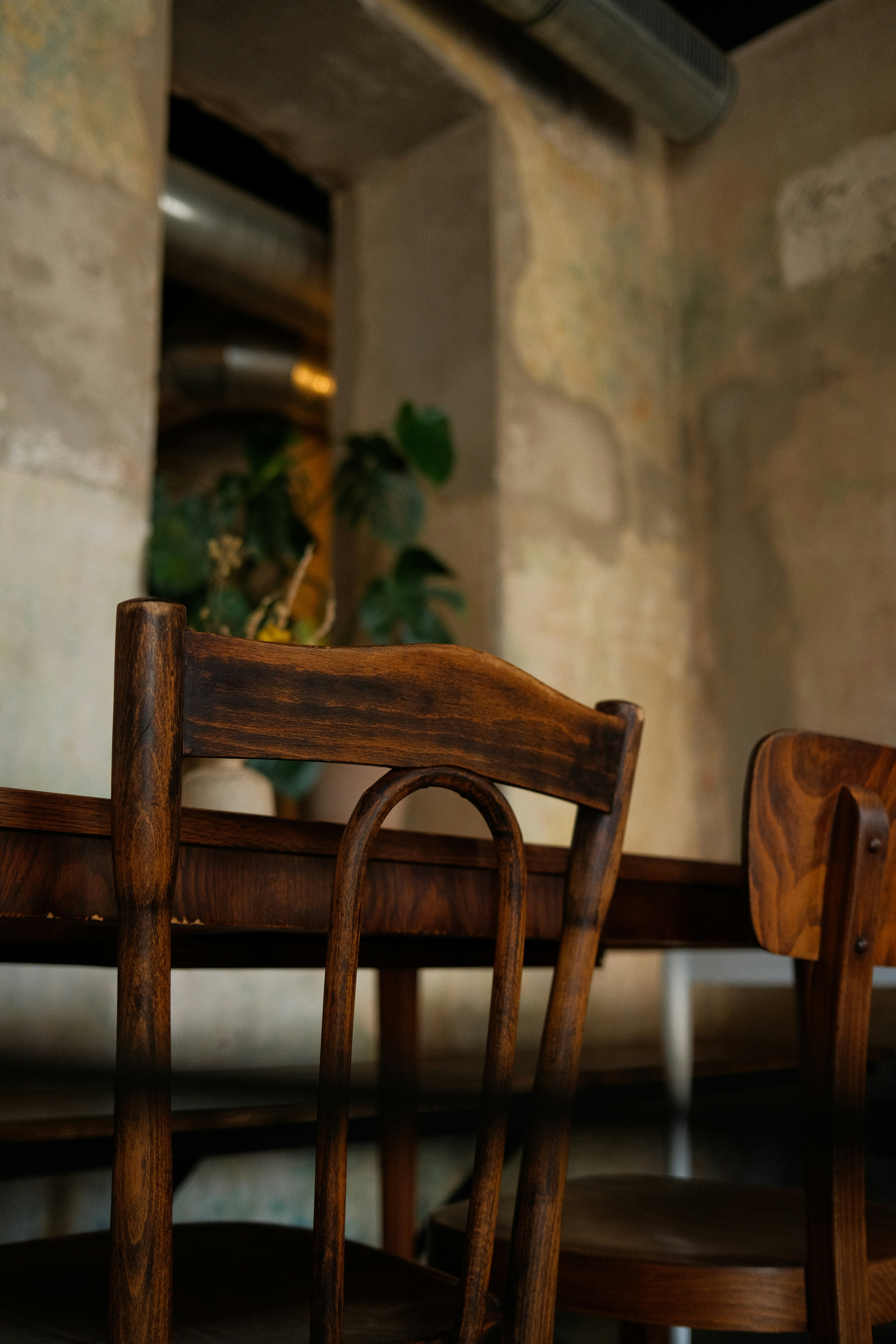 Weathered wooden chair in a sunlit industrial dining nook