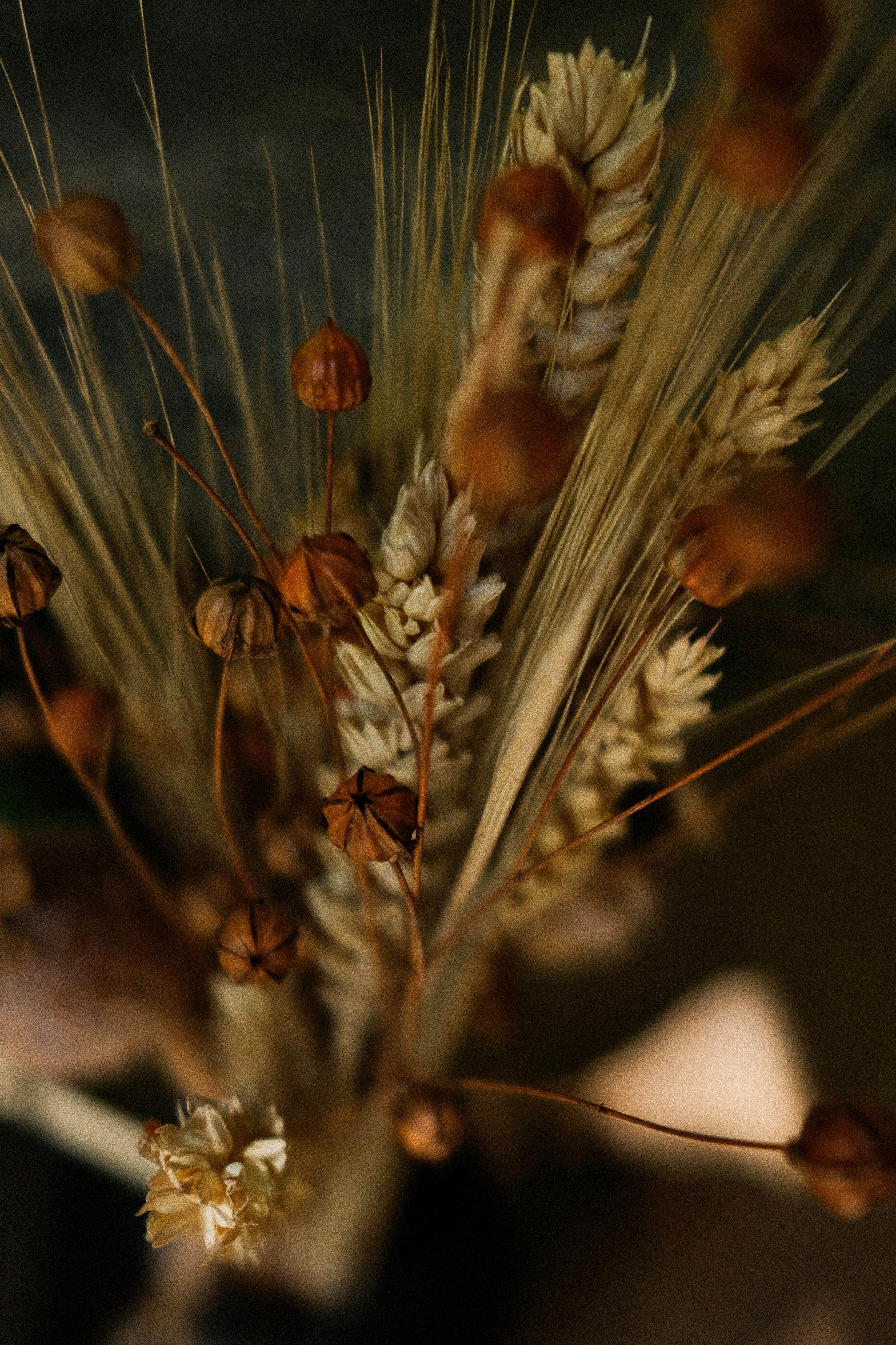 Amber Loops: A Quiet Bouquet of Wild Grasses