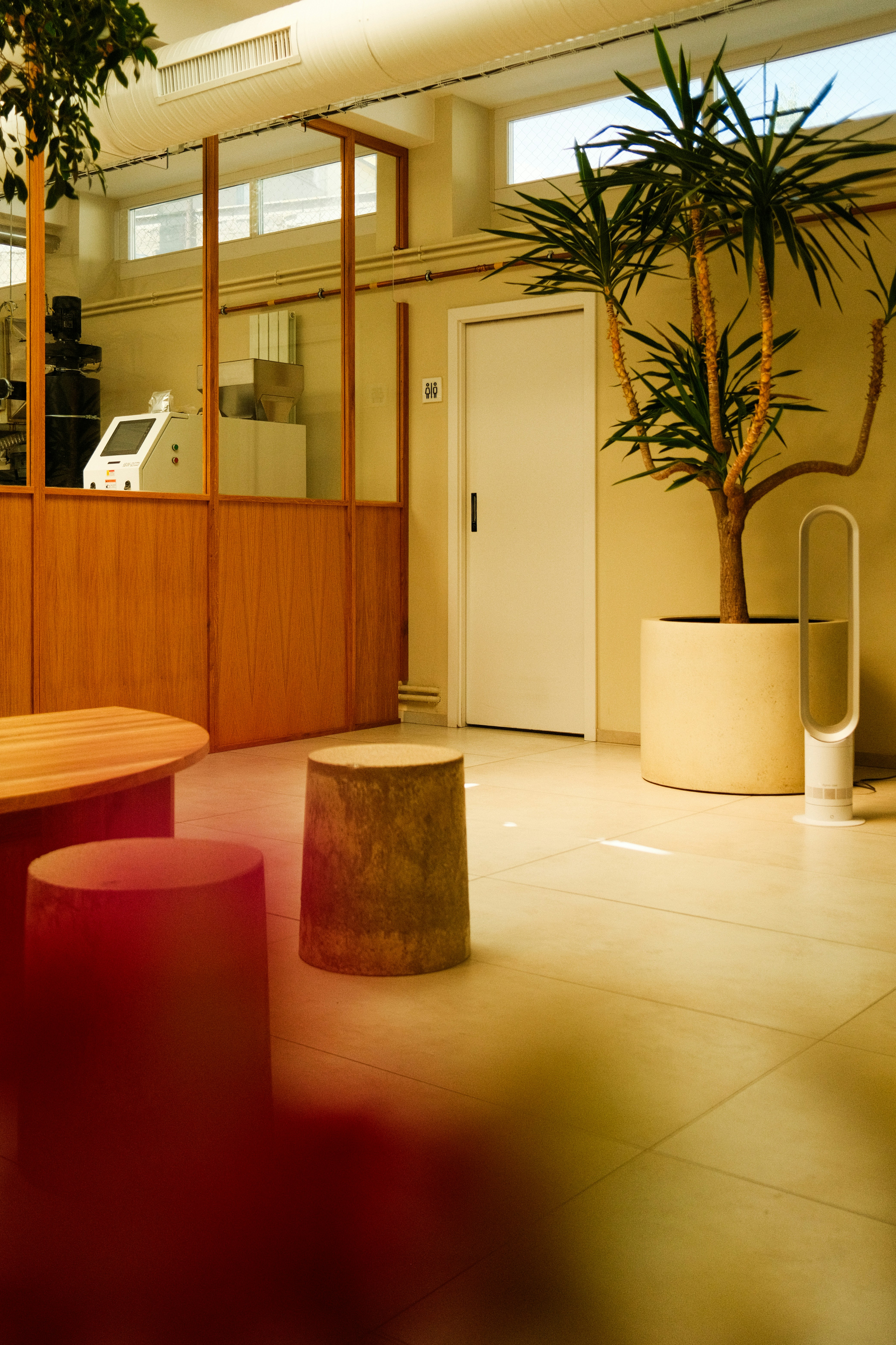Lobby Corner: Warm Light, Concrete Stumps, and a Towering Plant