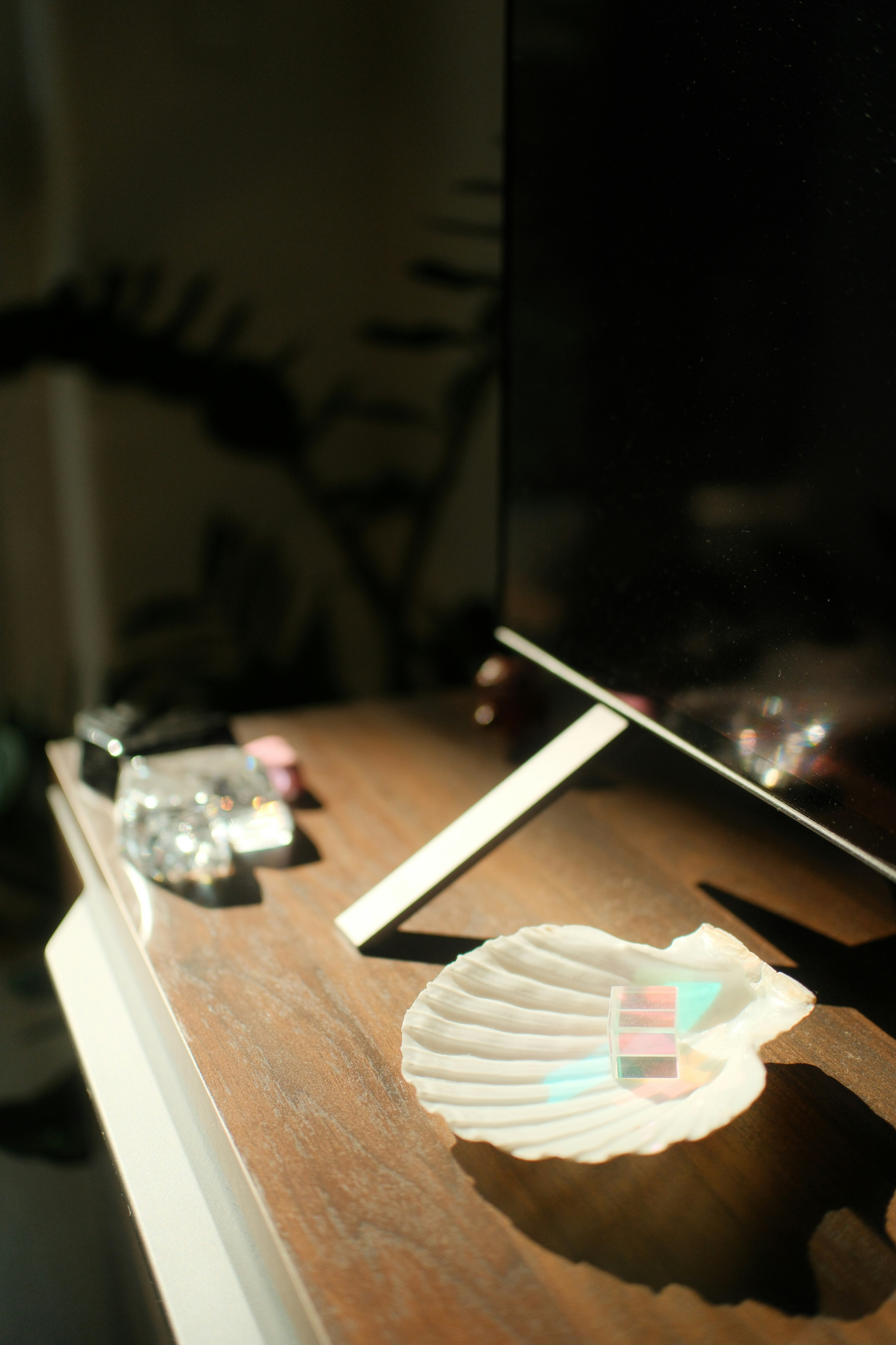 Moonlit Shell on a Wooden Stage
