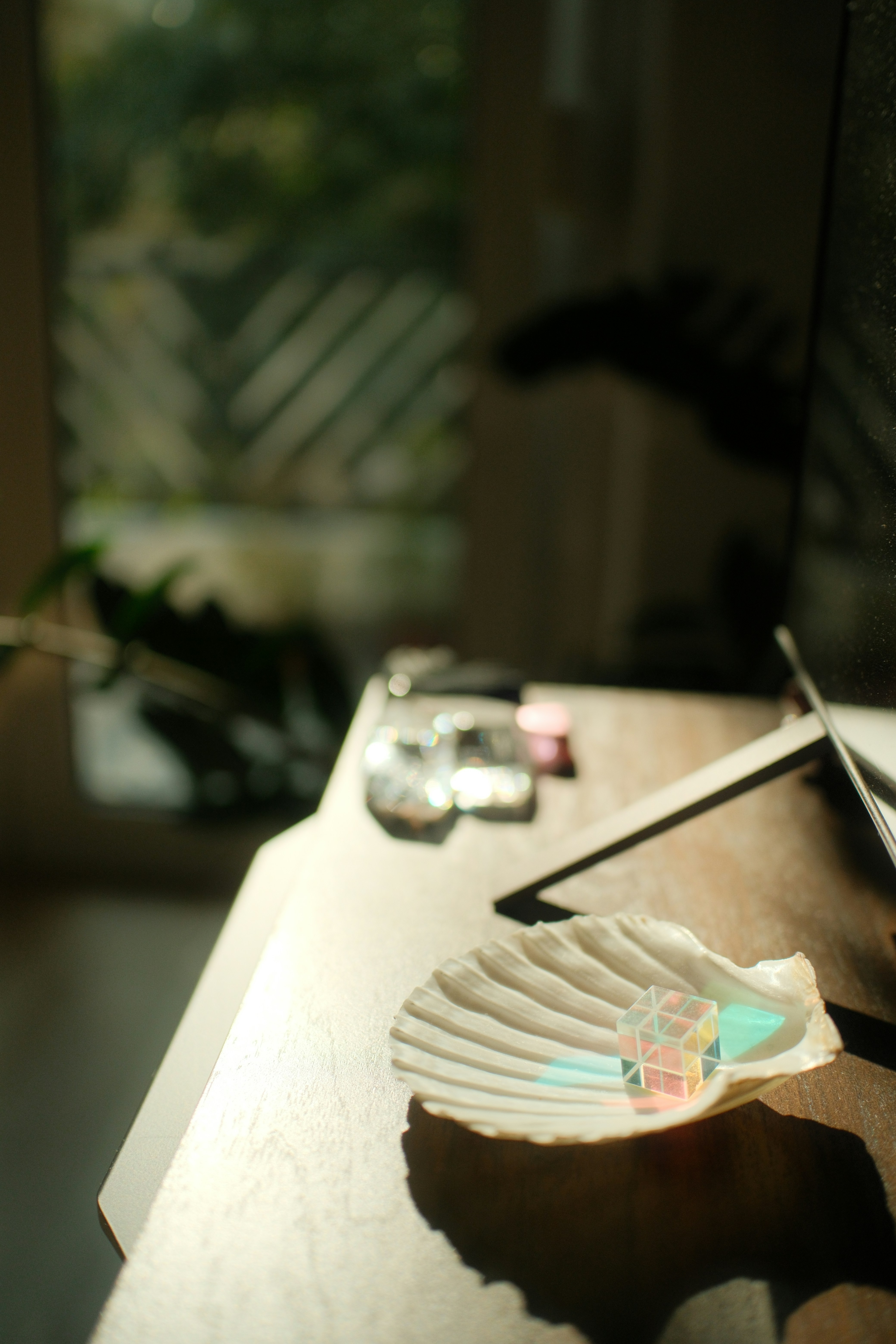 Shell Tealight and Glass on a Sunlit Wooden Counter