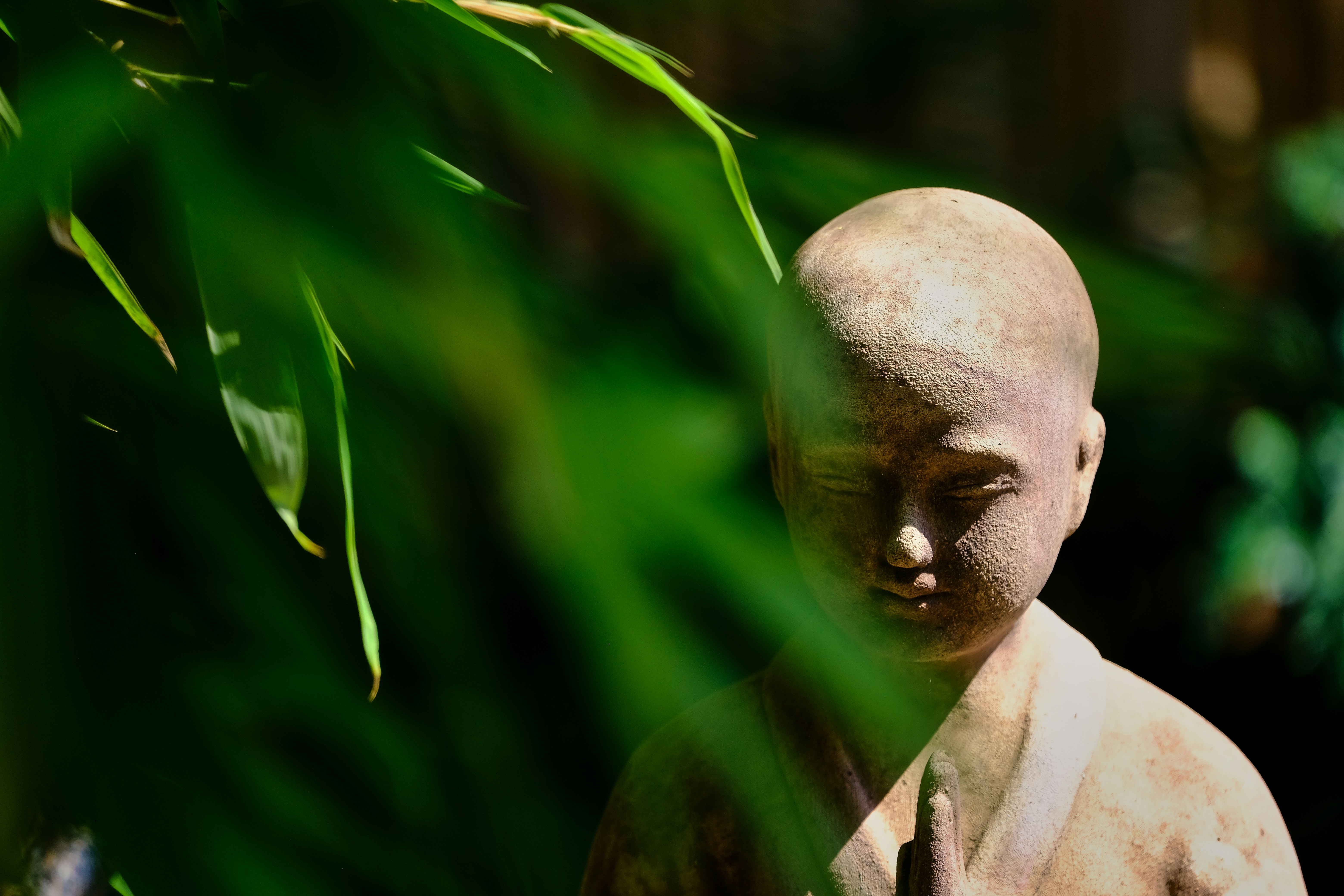 Quiet Vessel: A Sunlit Monk Statue Amid Green Veil