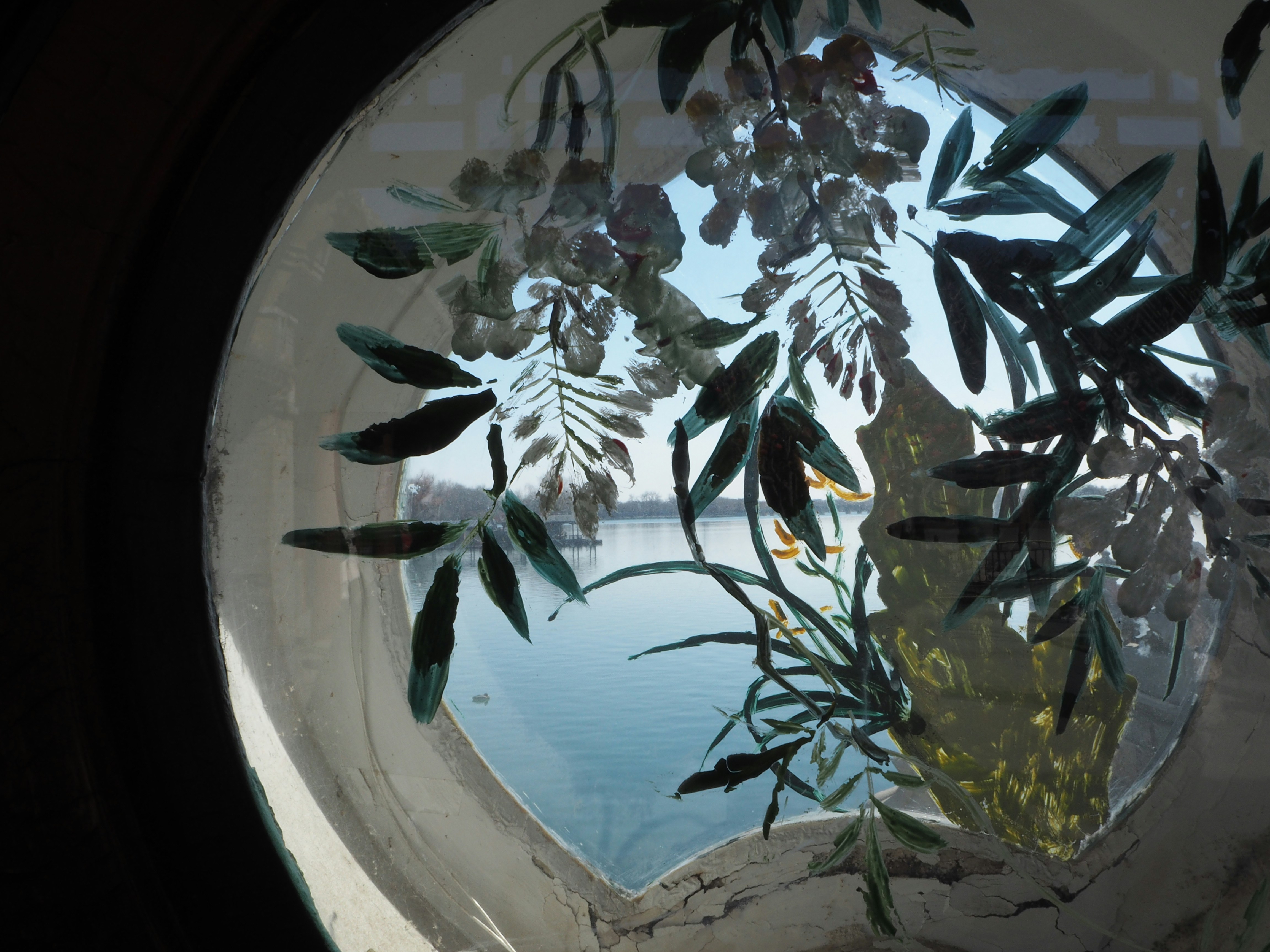 Circular Frame of Quiet Harbor: Leaves Framing a Lake View