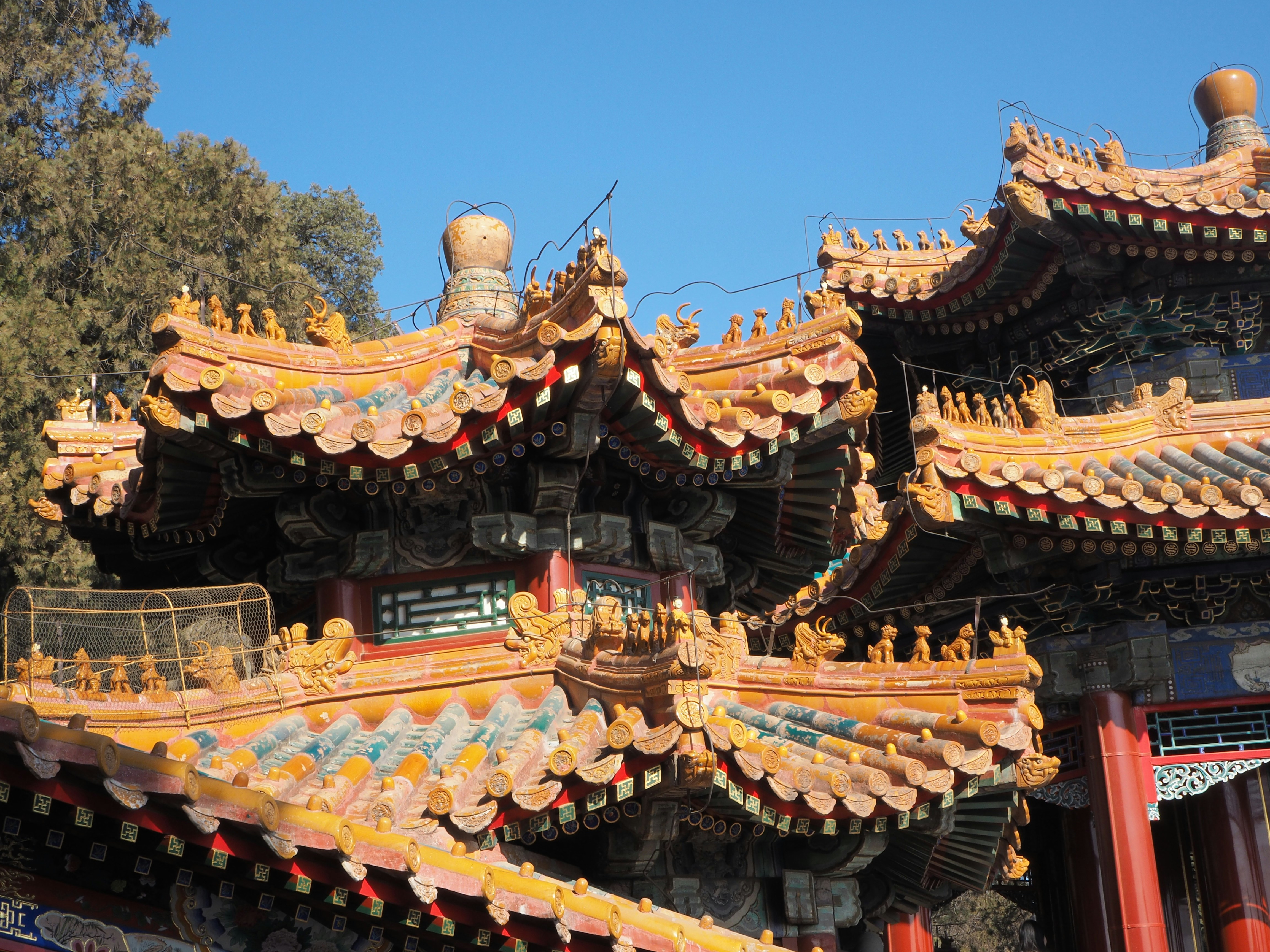 Golden Roofscape: A Tapestry of Curved Eaves and Red Columns