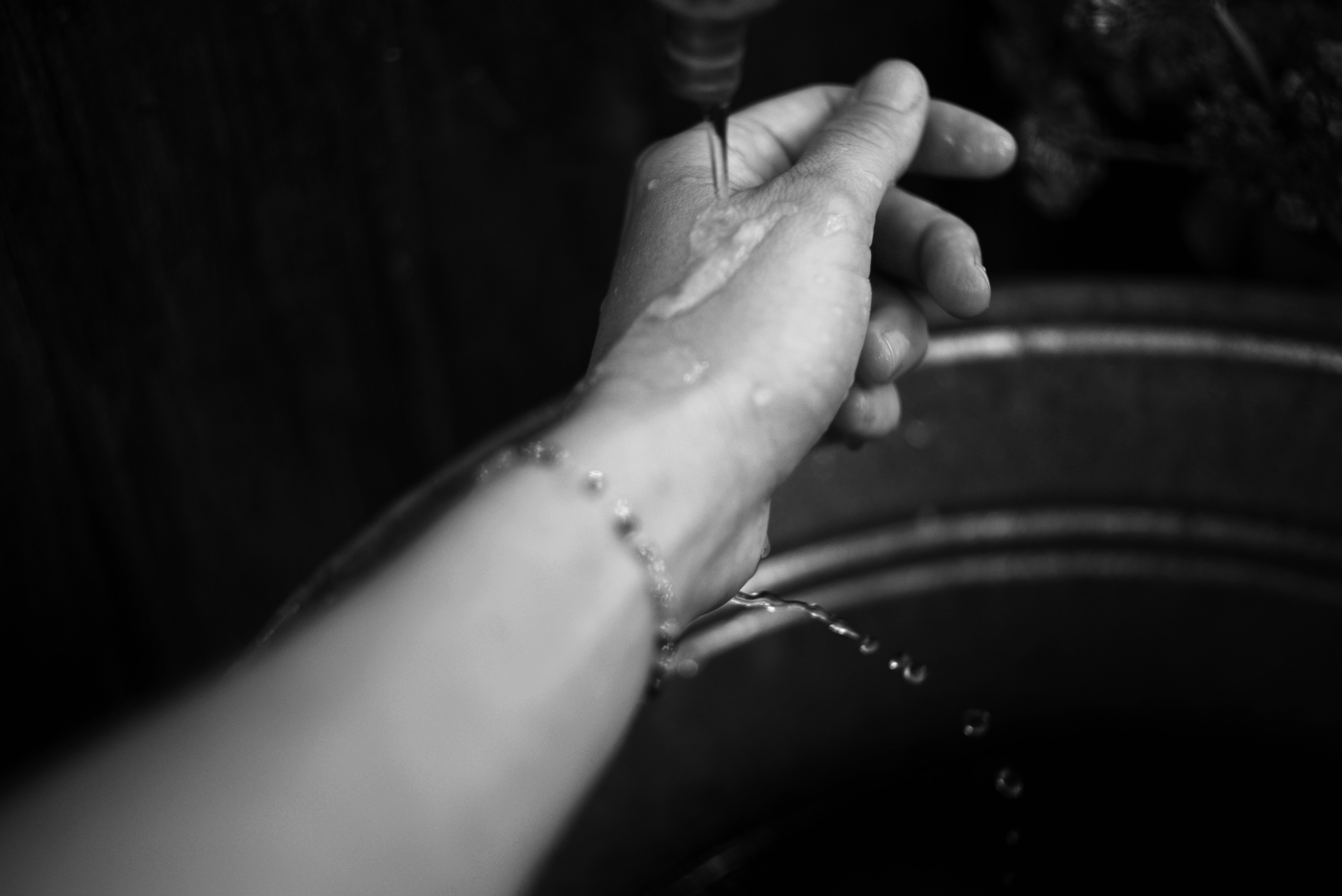 Drip and Grip: A Quiet Moment of Water and Flesh