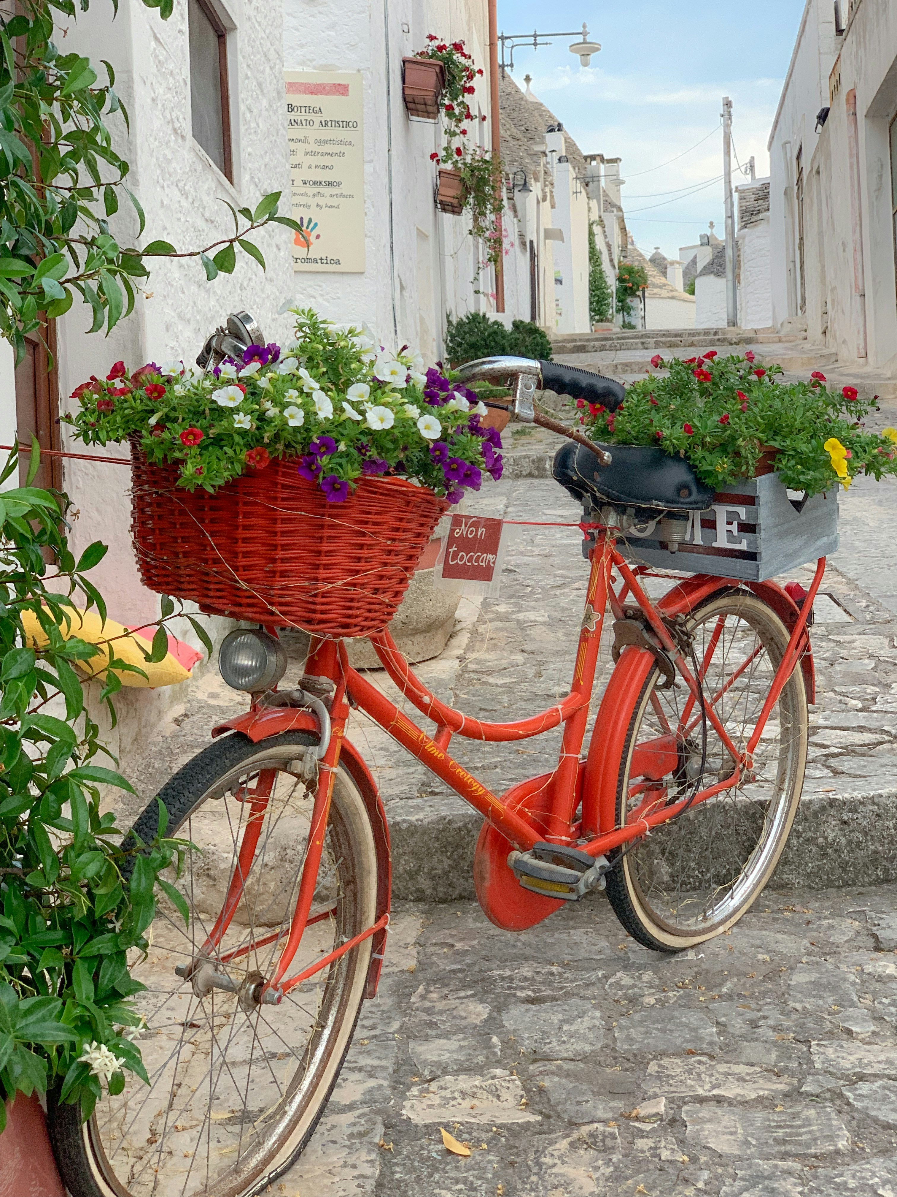 Red Bicycle Blossoms: A Street of Cobblestones and Colors
