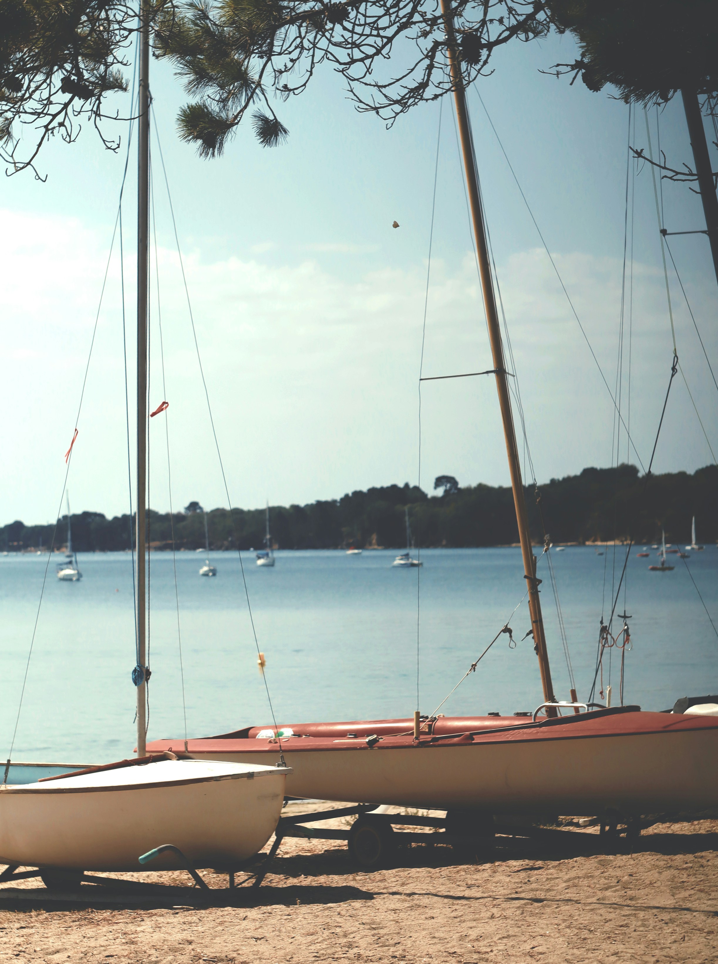 Sailboats at Rest on a Sunny Shore