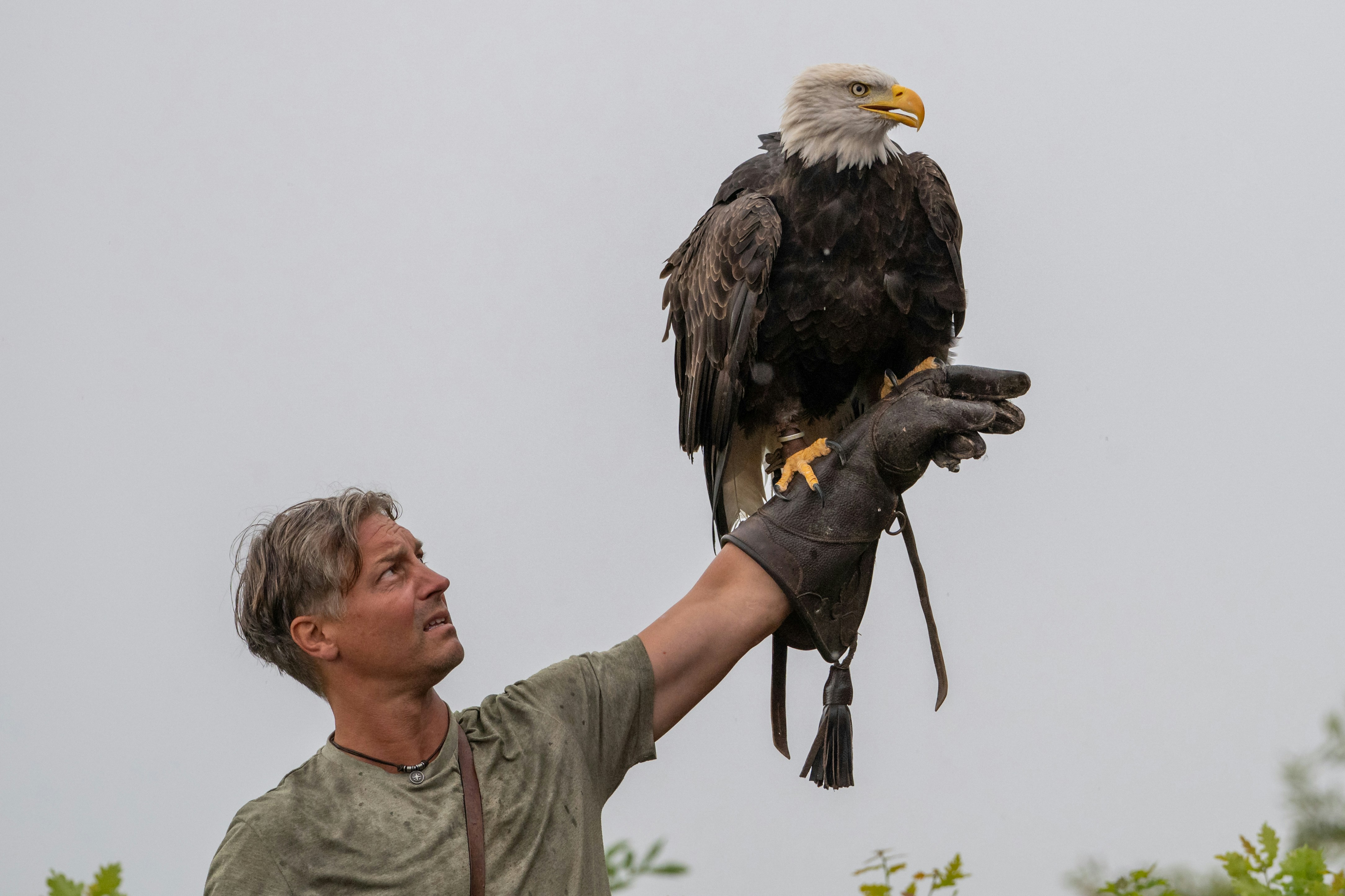 Giant Talon: A Keeper’s Watch on the Hand