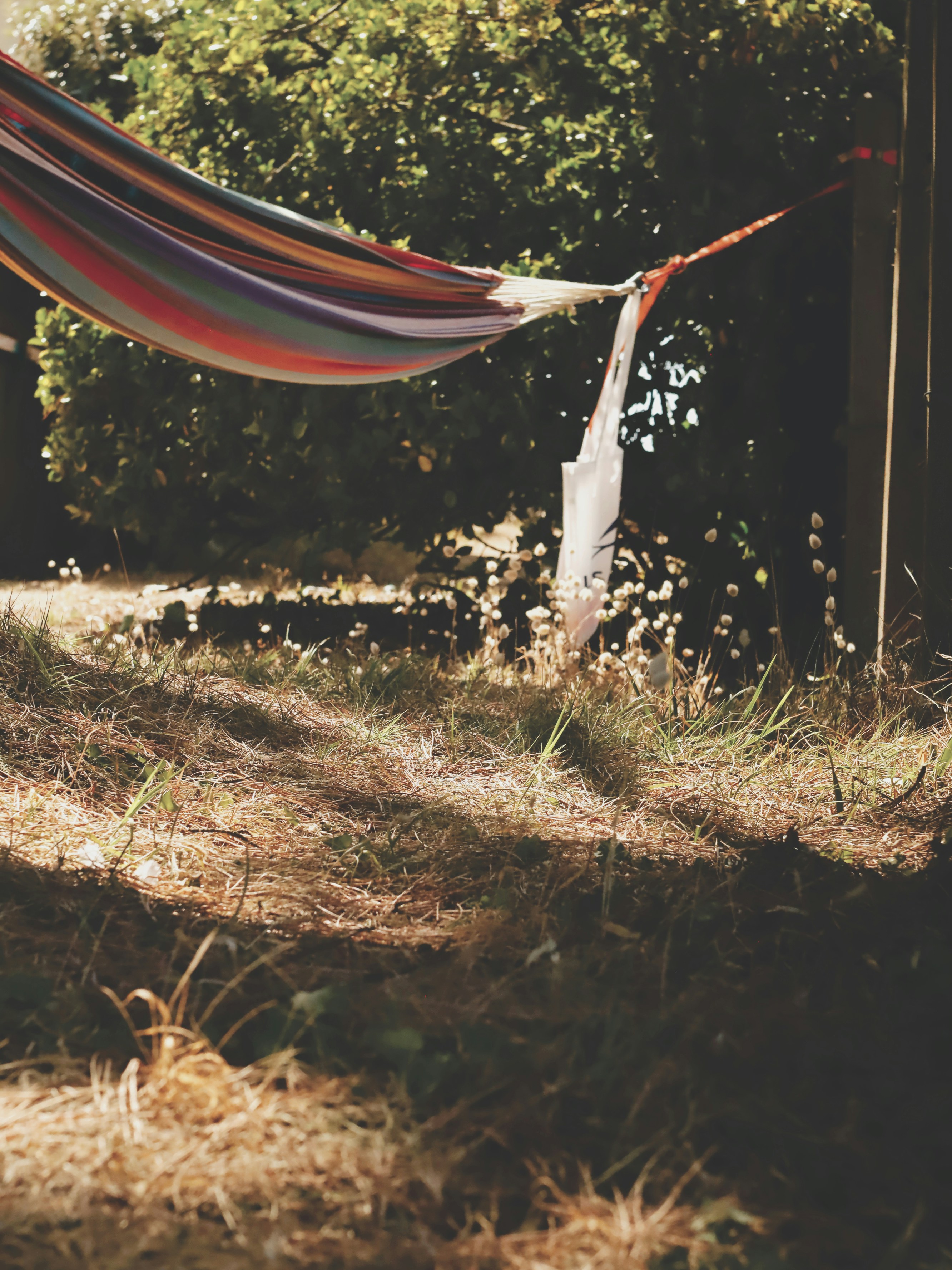 Sunlit Hammock Veil Between Dawn and Dusk