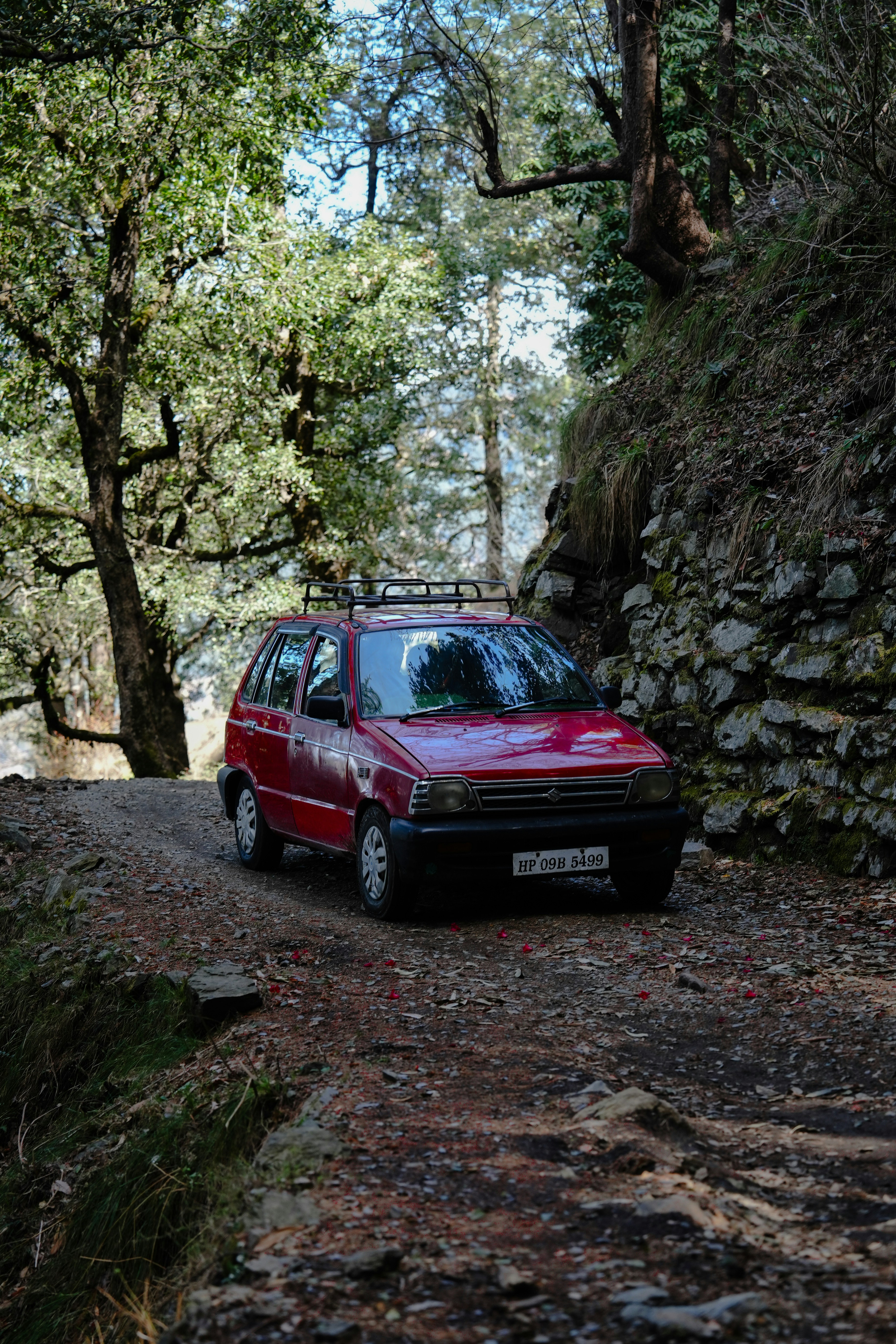 Red Travel Wagon on a Narrow Forest Path