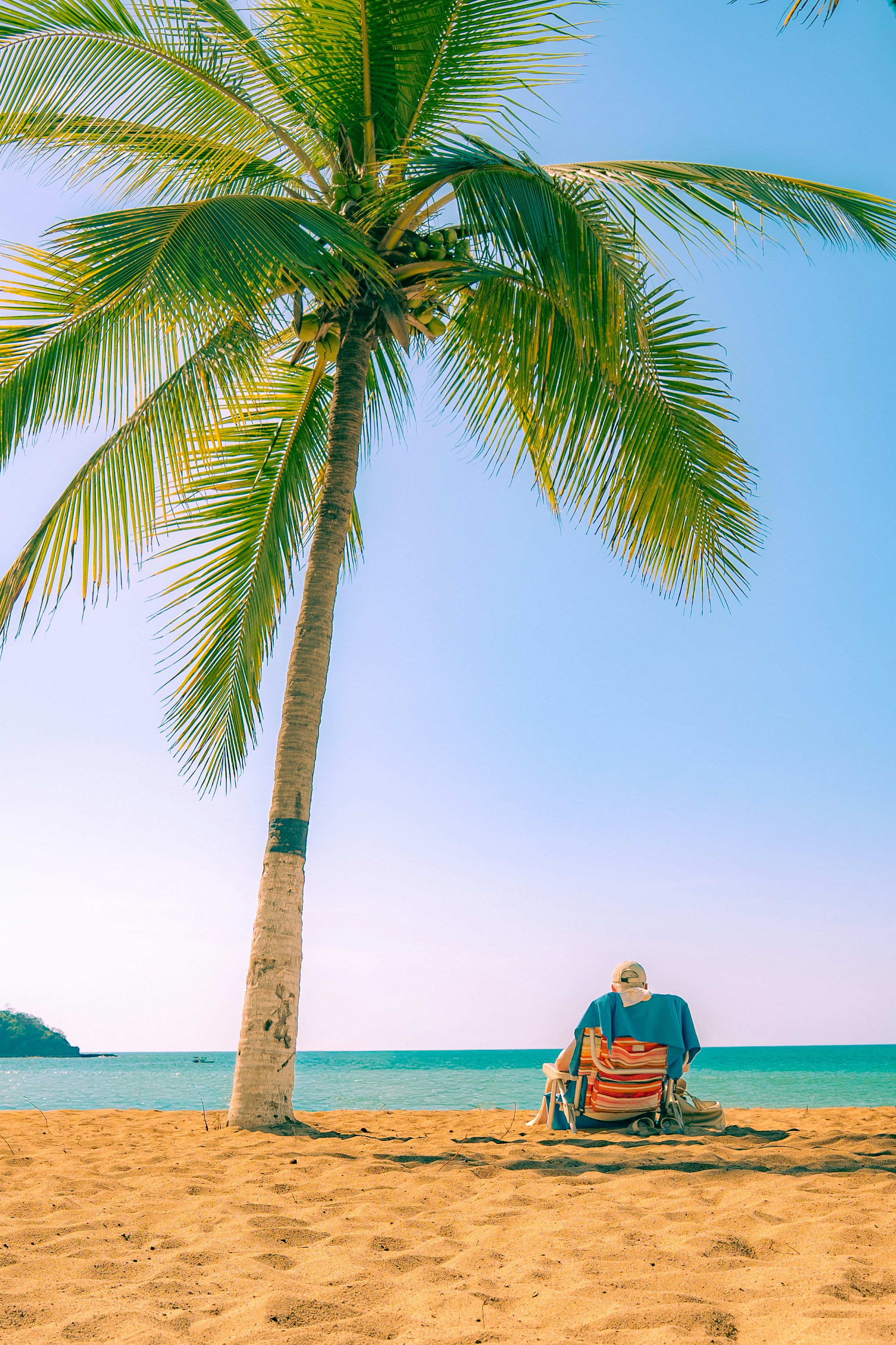 Shaded Shoreline Sunset: Palm, Sand, and Seaside Solitude