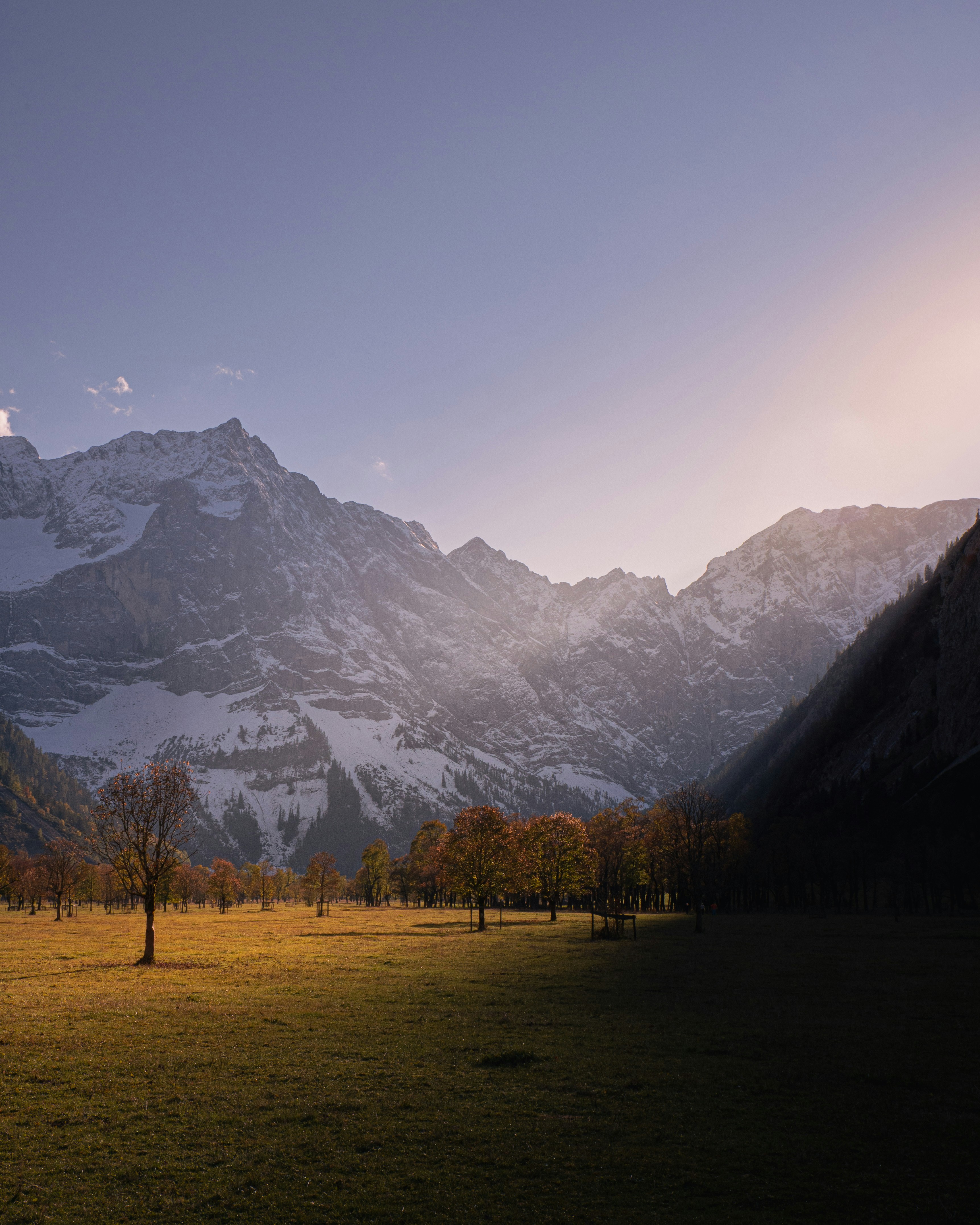 Sunlit valley with scattered trees in the foreground, leading to snow-dusted mountains under a pastel sky.