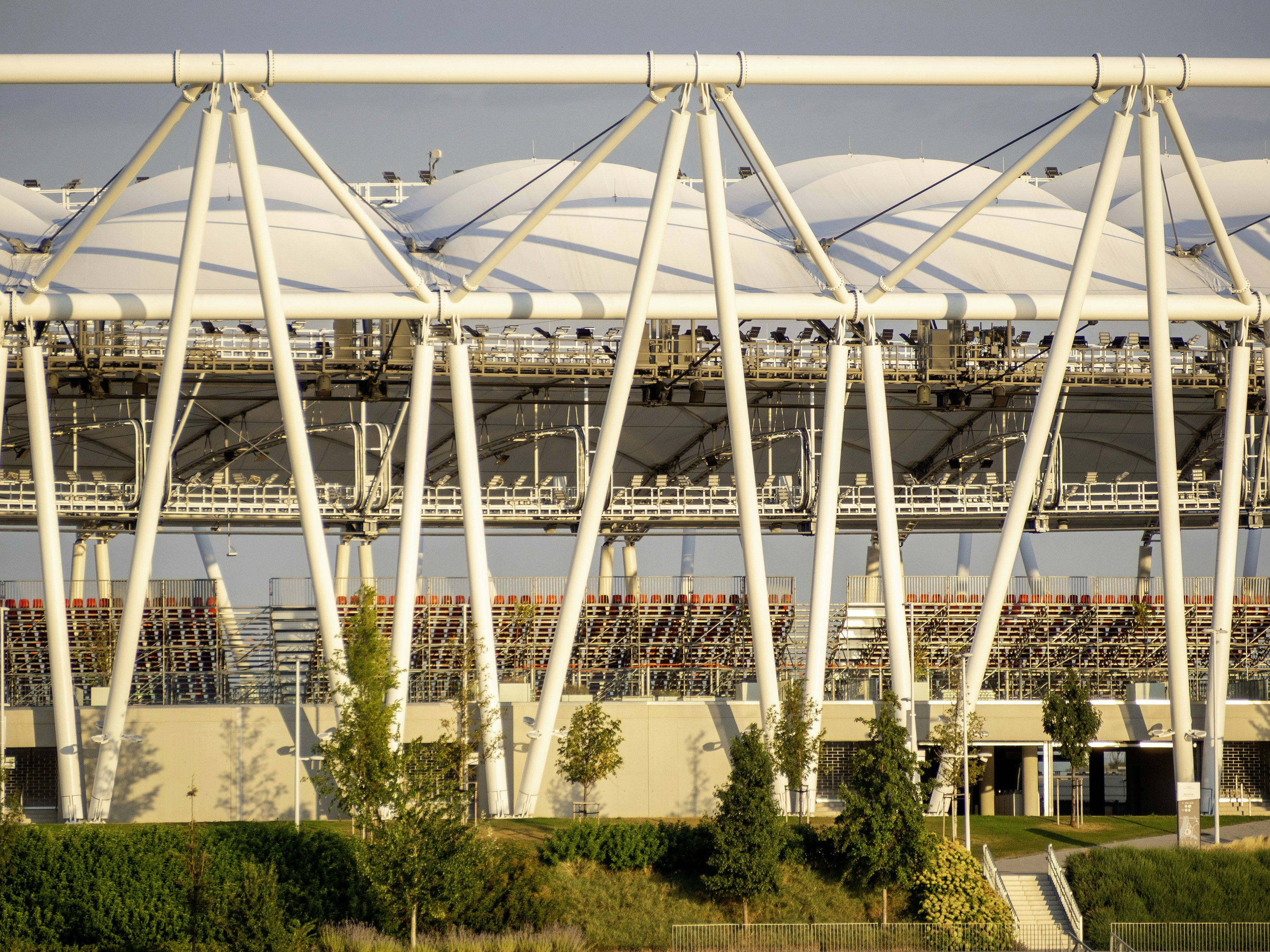 Architectural stadium framework with diagonal supports and a row of trees in the foreground, capturing the balance between engineering and landscape.